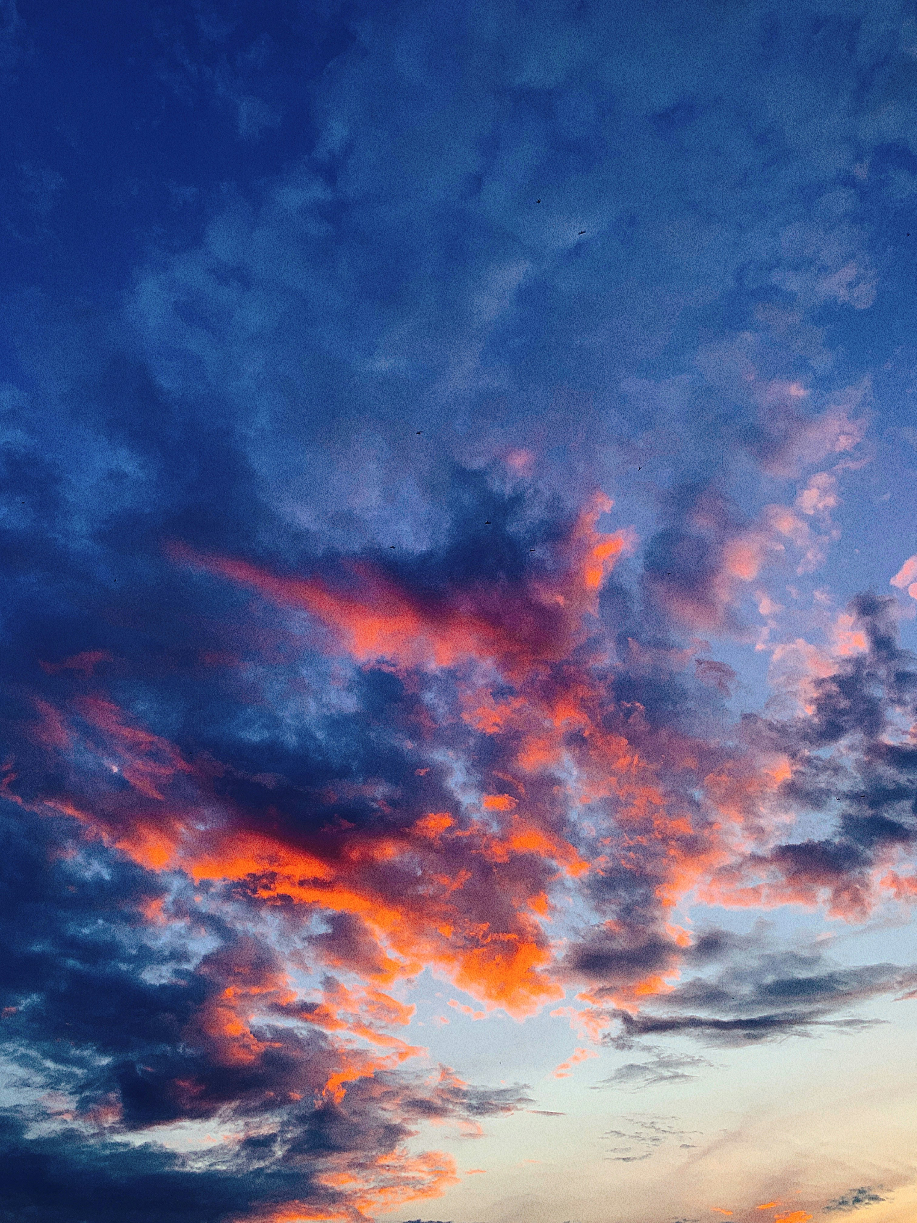 Rina Samarets (@risam) | Unsplash 사진 커뮤니티