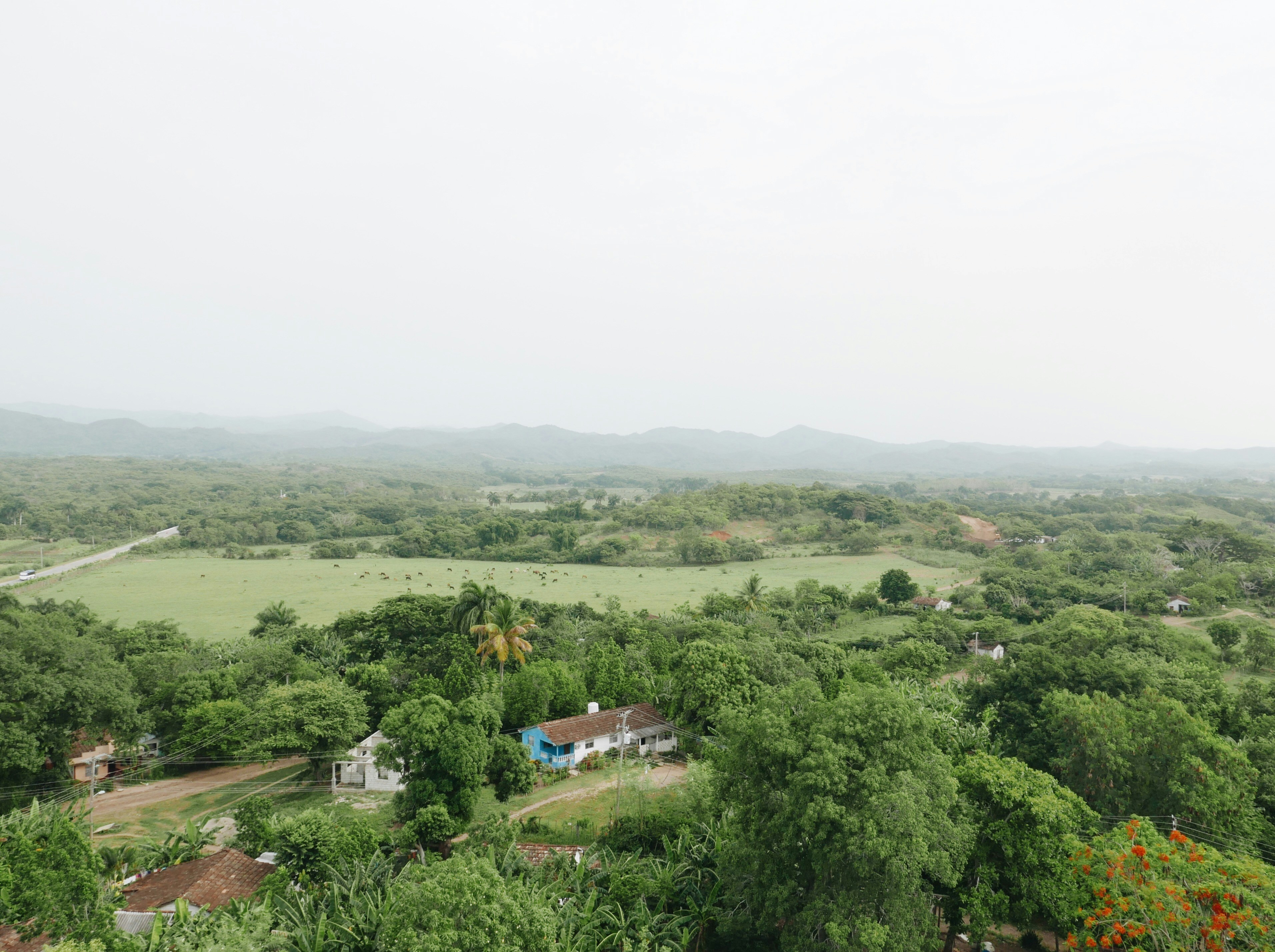 Lush landscape featuring a mix of dense foliage and scattered homes under a soft, overcast sky.