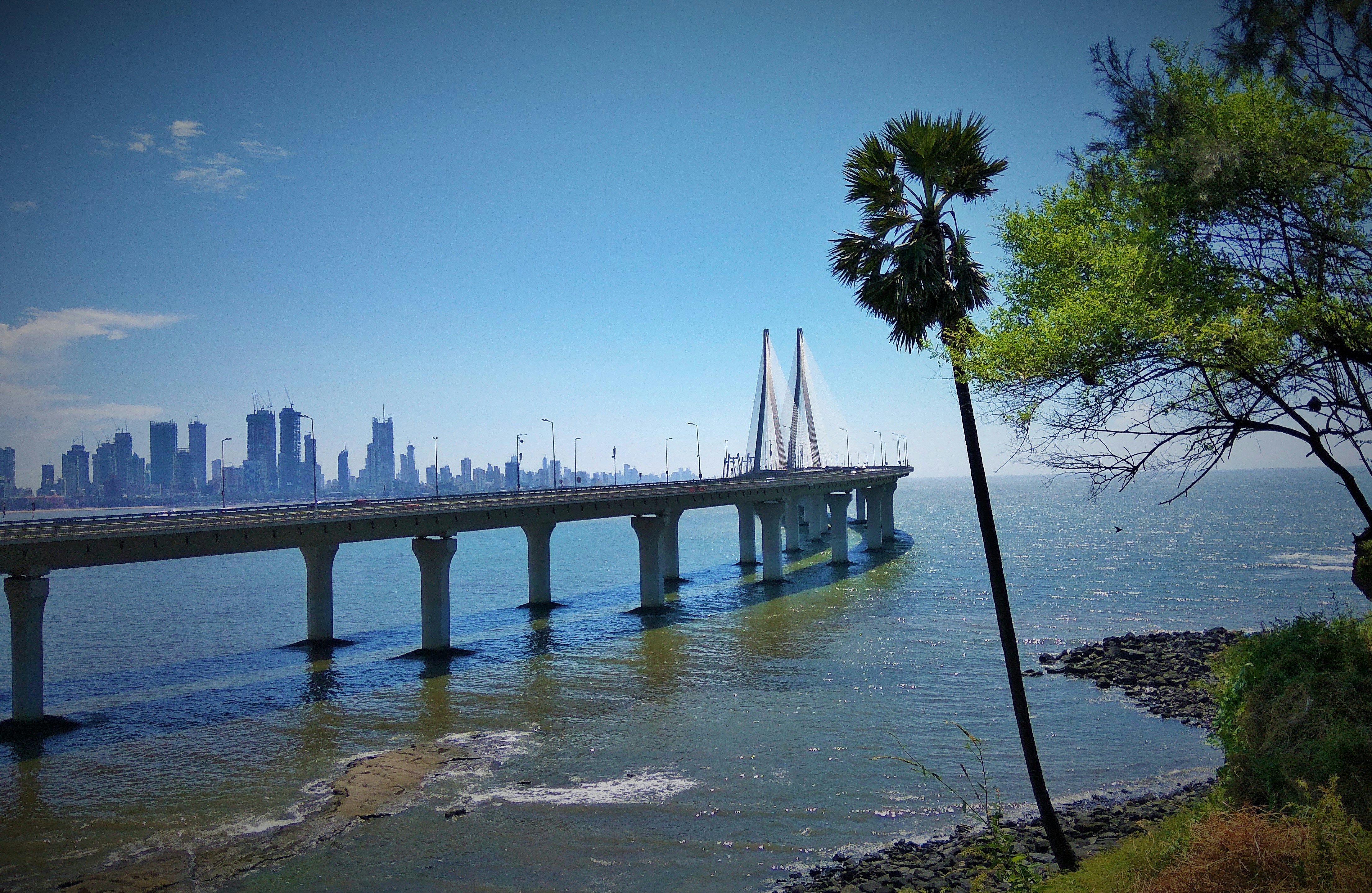 Bandra-Worli Sea Link stretching over calm blue waters with a city skyline in the background and lush greenery in the foreground.