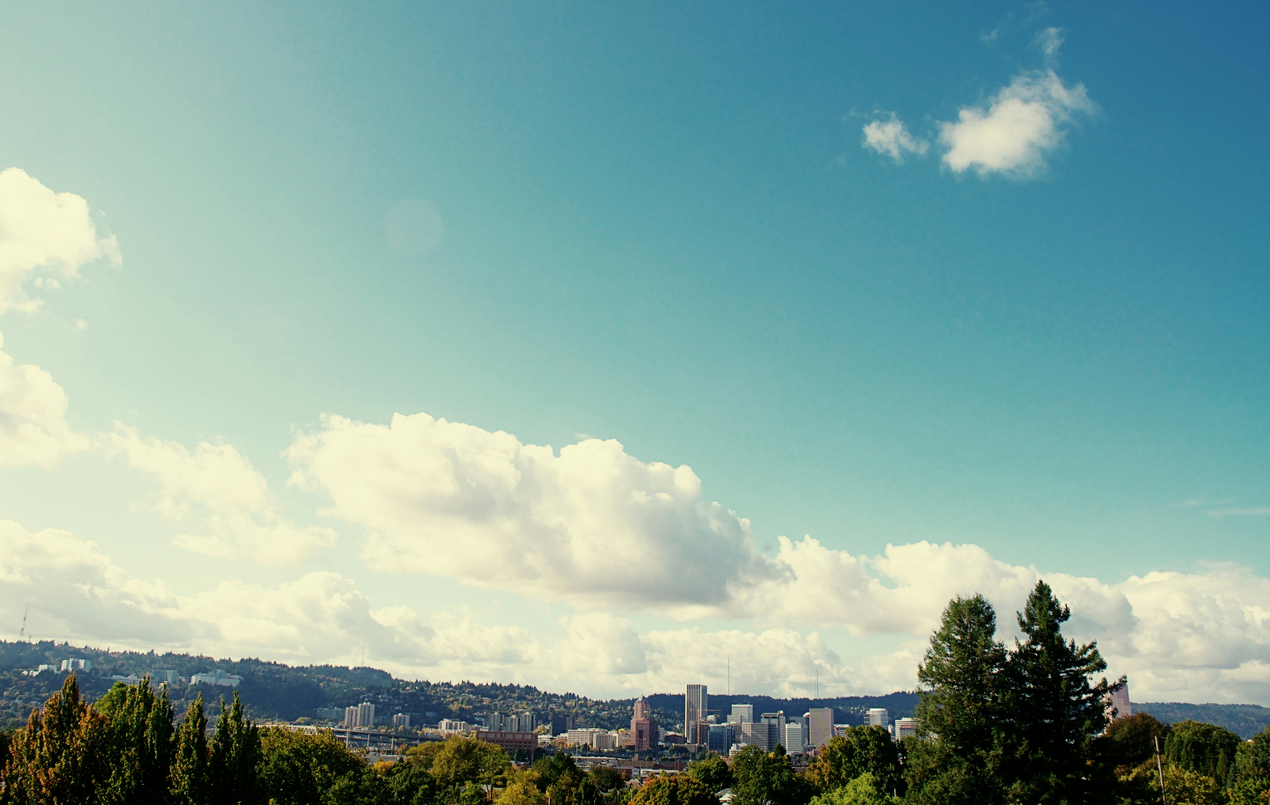 Green trees and buildings under blue sky during daytime photo – Free ...