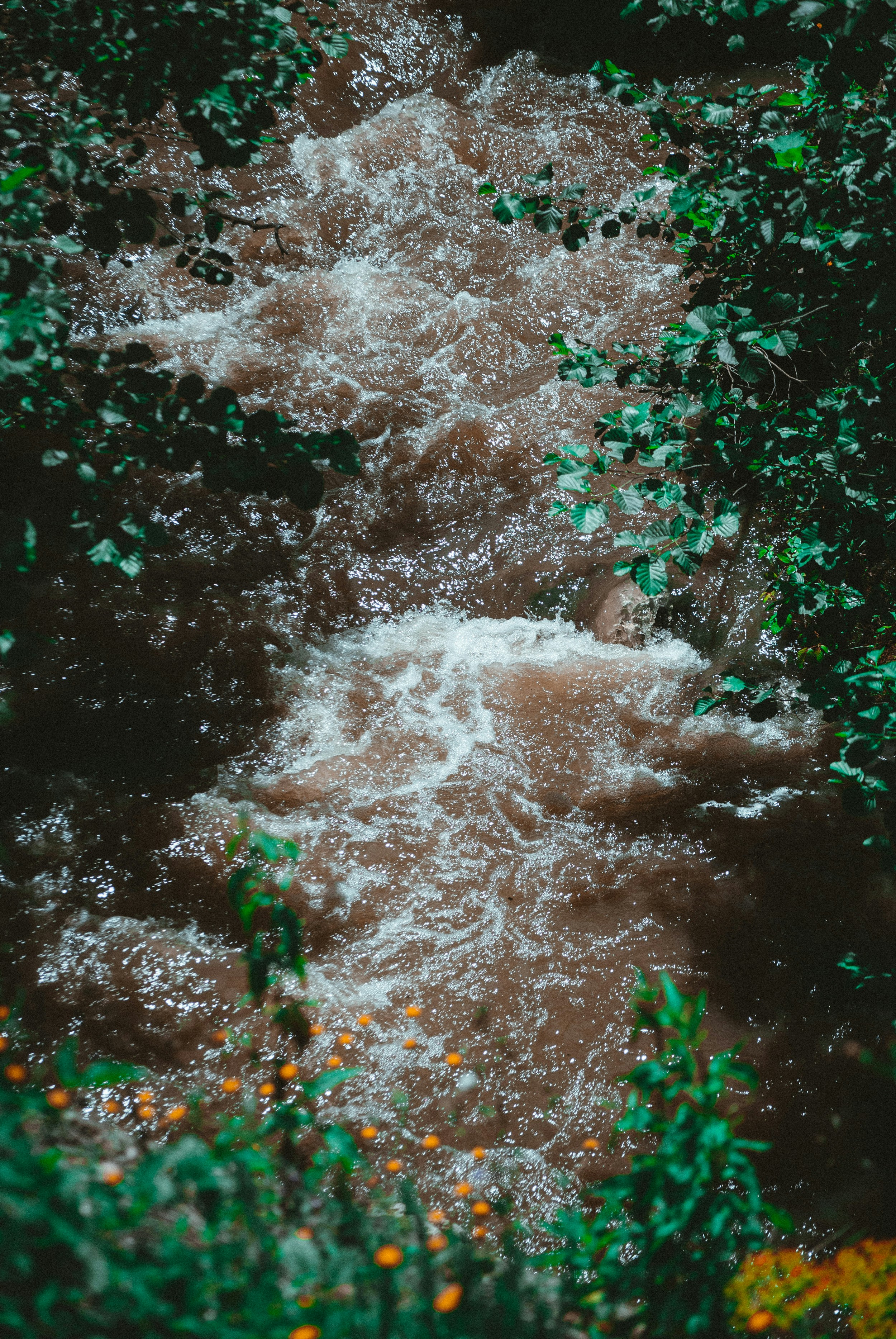 Photo by ahmet hamdi with Nikon D80