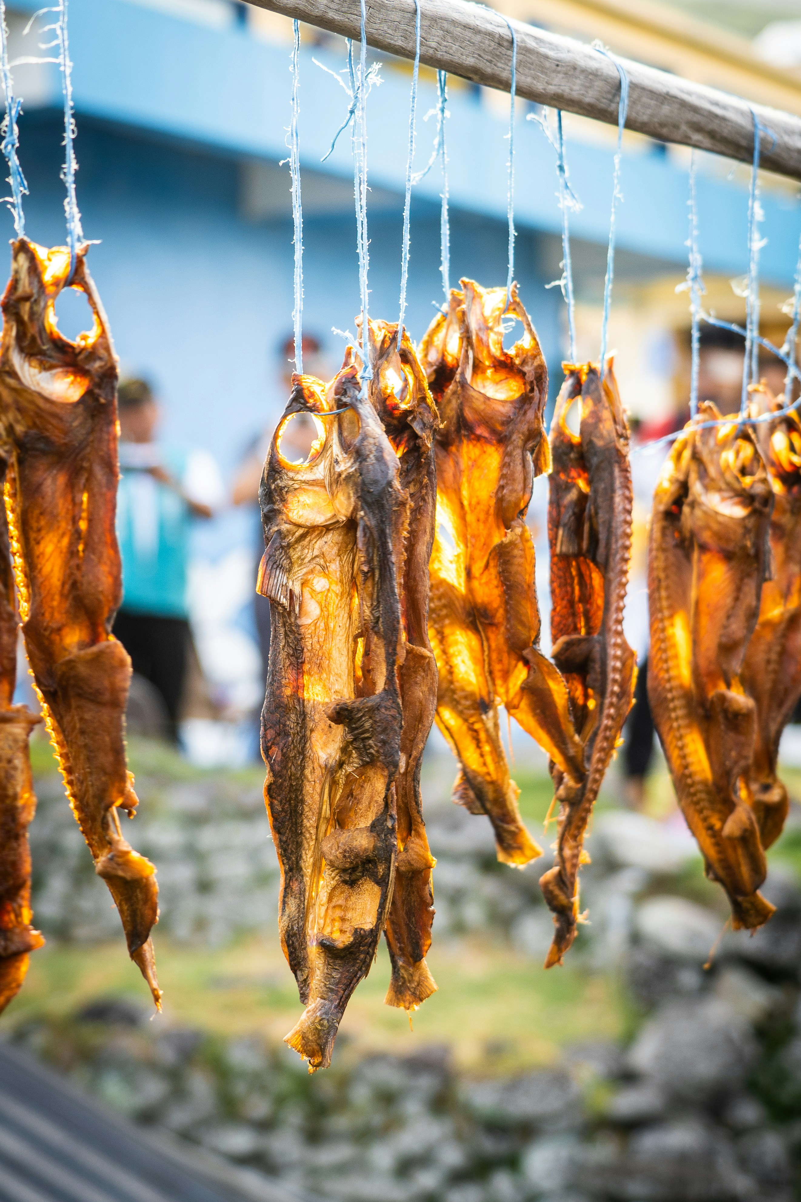 Hanging dried fish in the sunlight, showcasing a traditional preservation method against a blurred backdrop of onlookers.