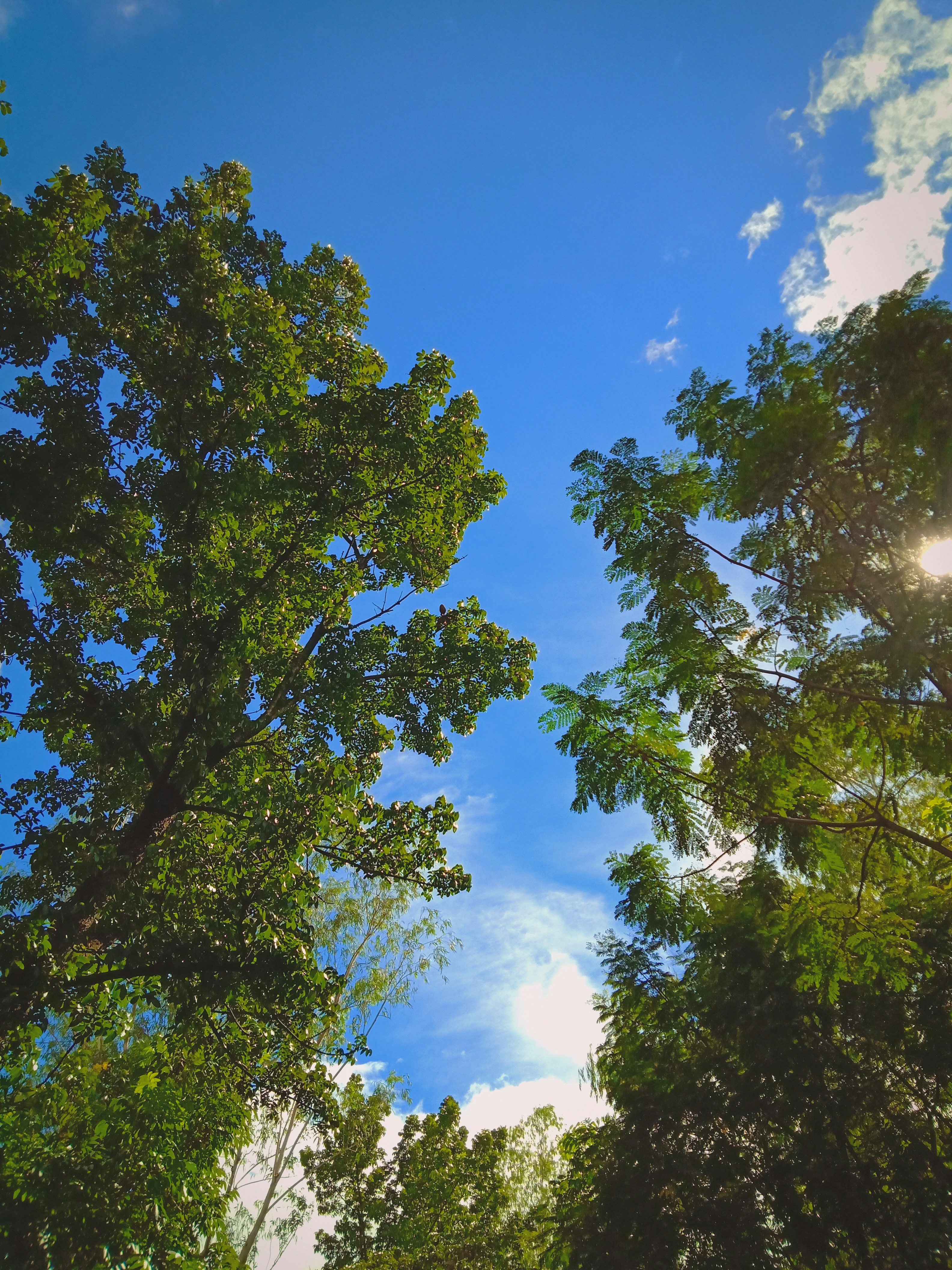 Summer Light | 12 best free summer light, summer, light and outdoor ...