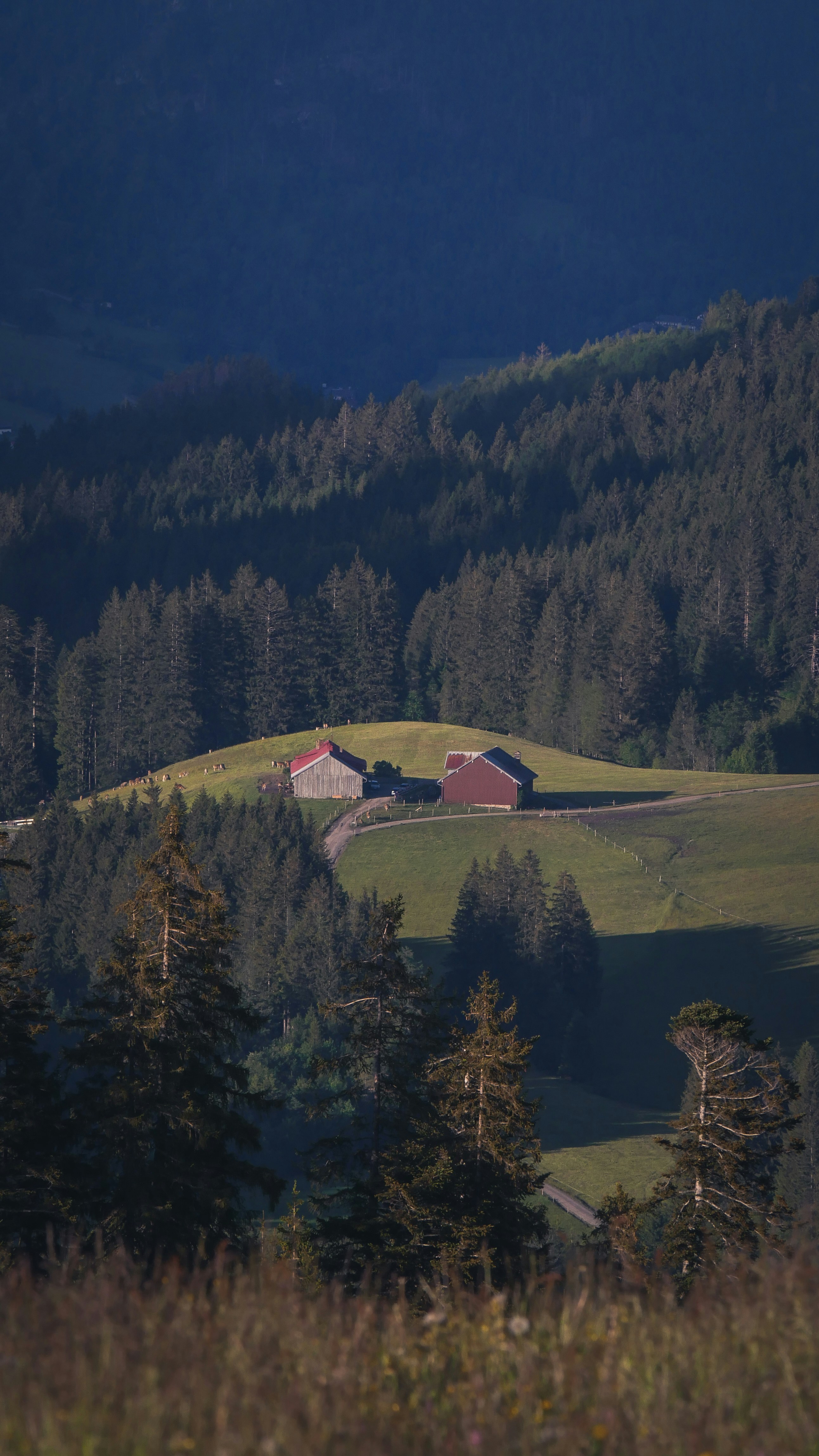 Two rustic farmhouses nestled on a green hillside surrounded by dense forests and rolling terrain.