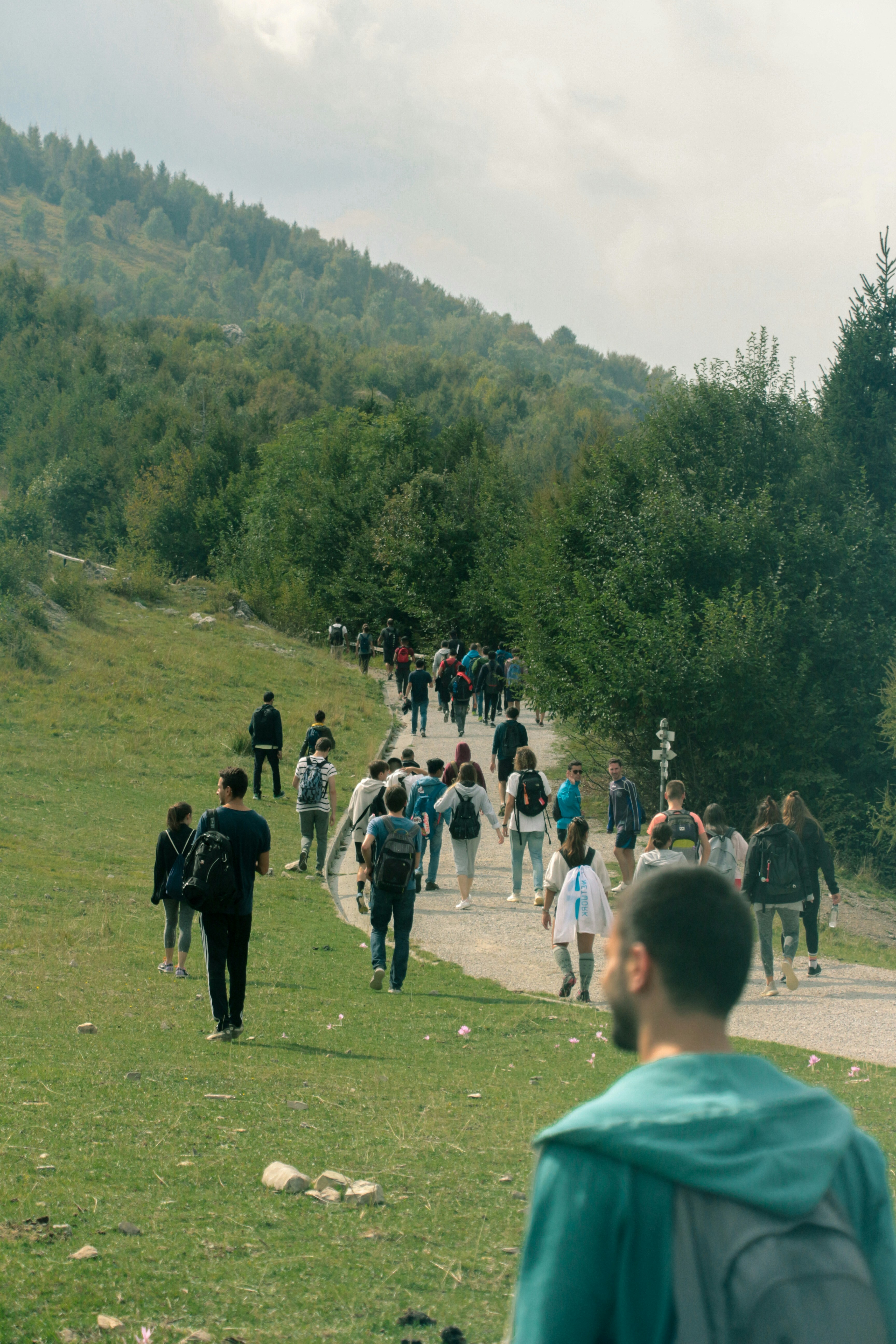 People walking on green grass field during daytime photo – Free Grey ...