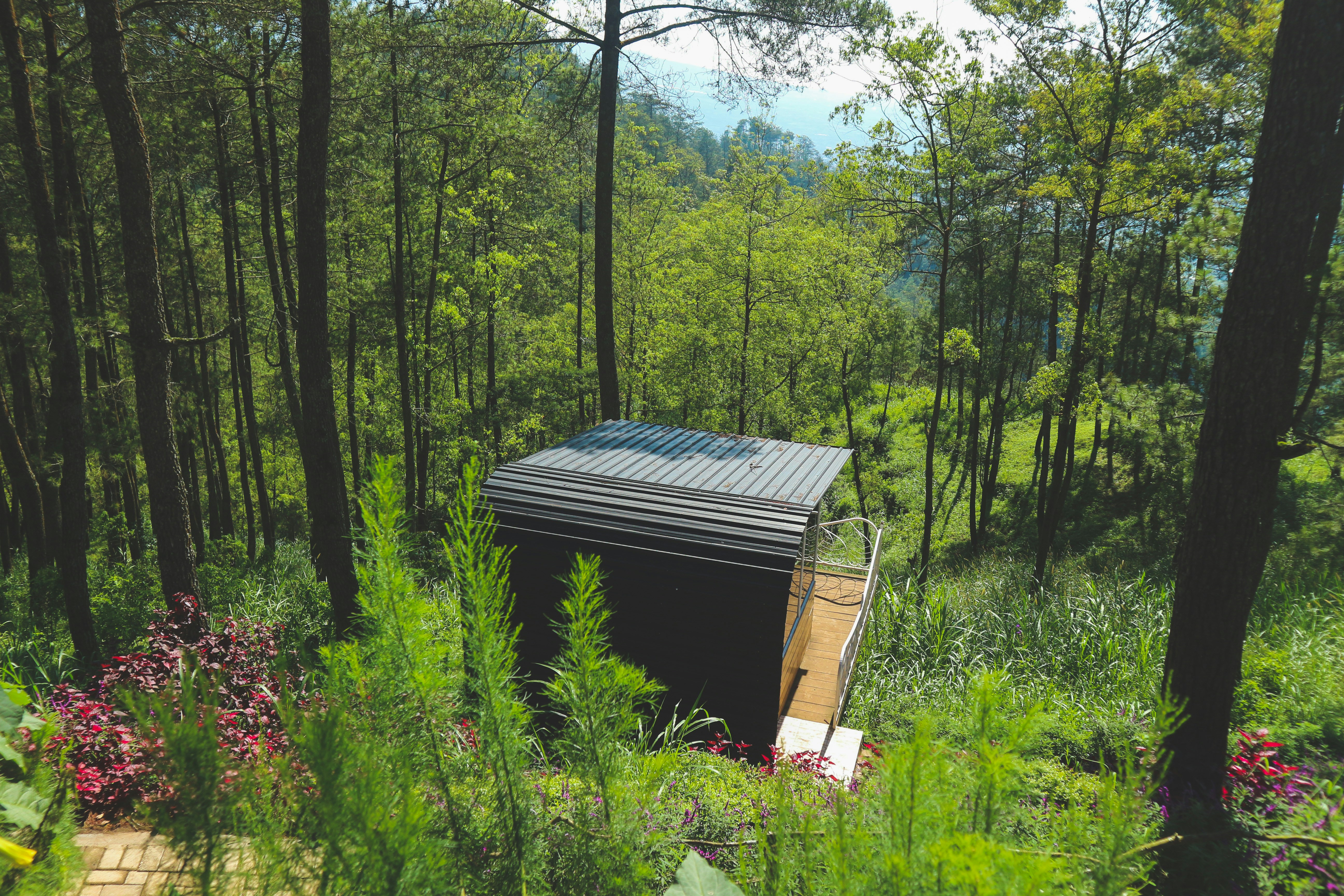 Nestled Retreat Amidst Nature's Embrace