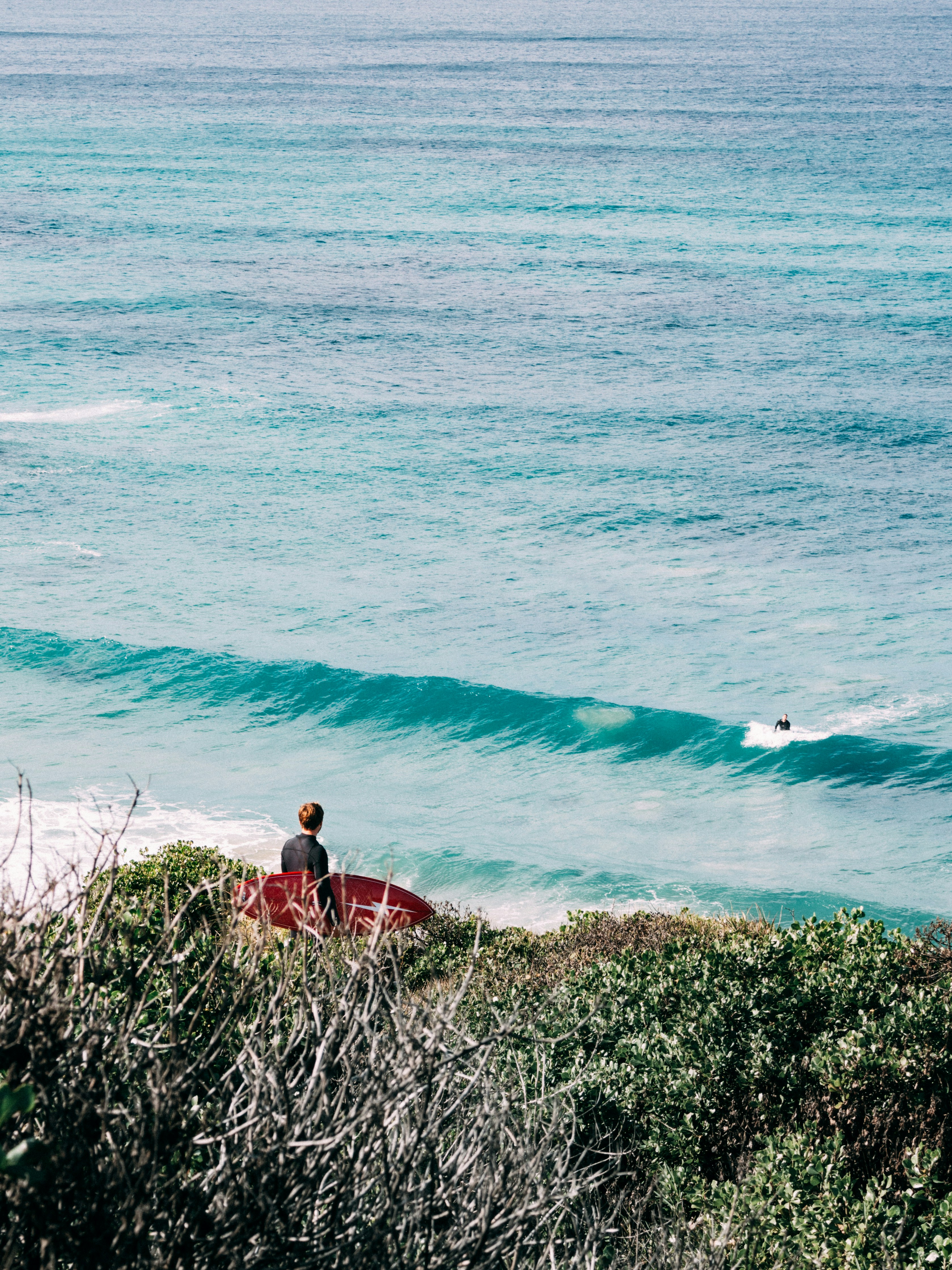 Surfer’s Crest: A Lone Rider at the Ocean’s Edge