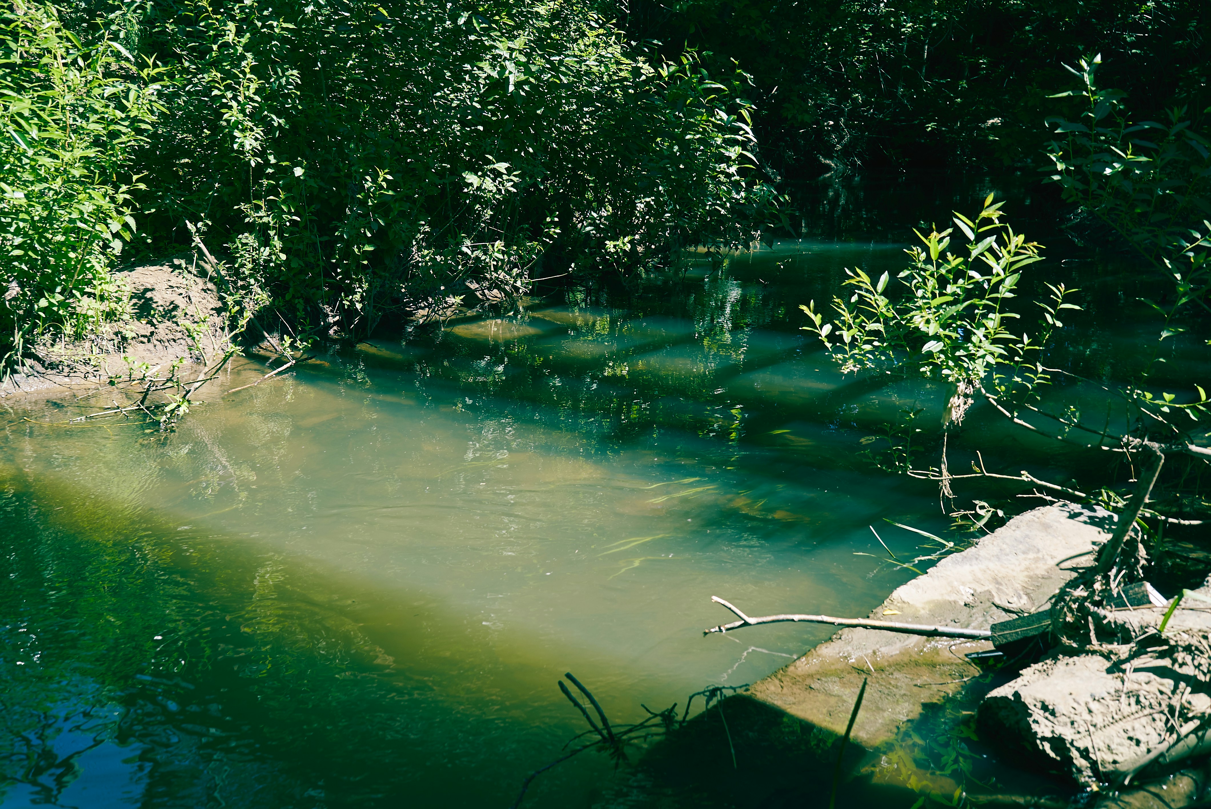Serene waterway surrounded by lush greenery, reflecting dappled sunlight. The scene invites tranquility and connection with nature.