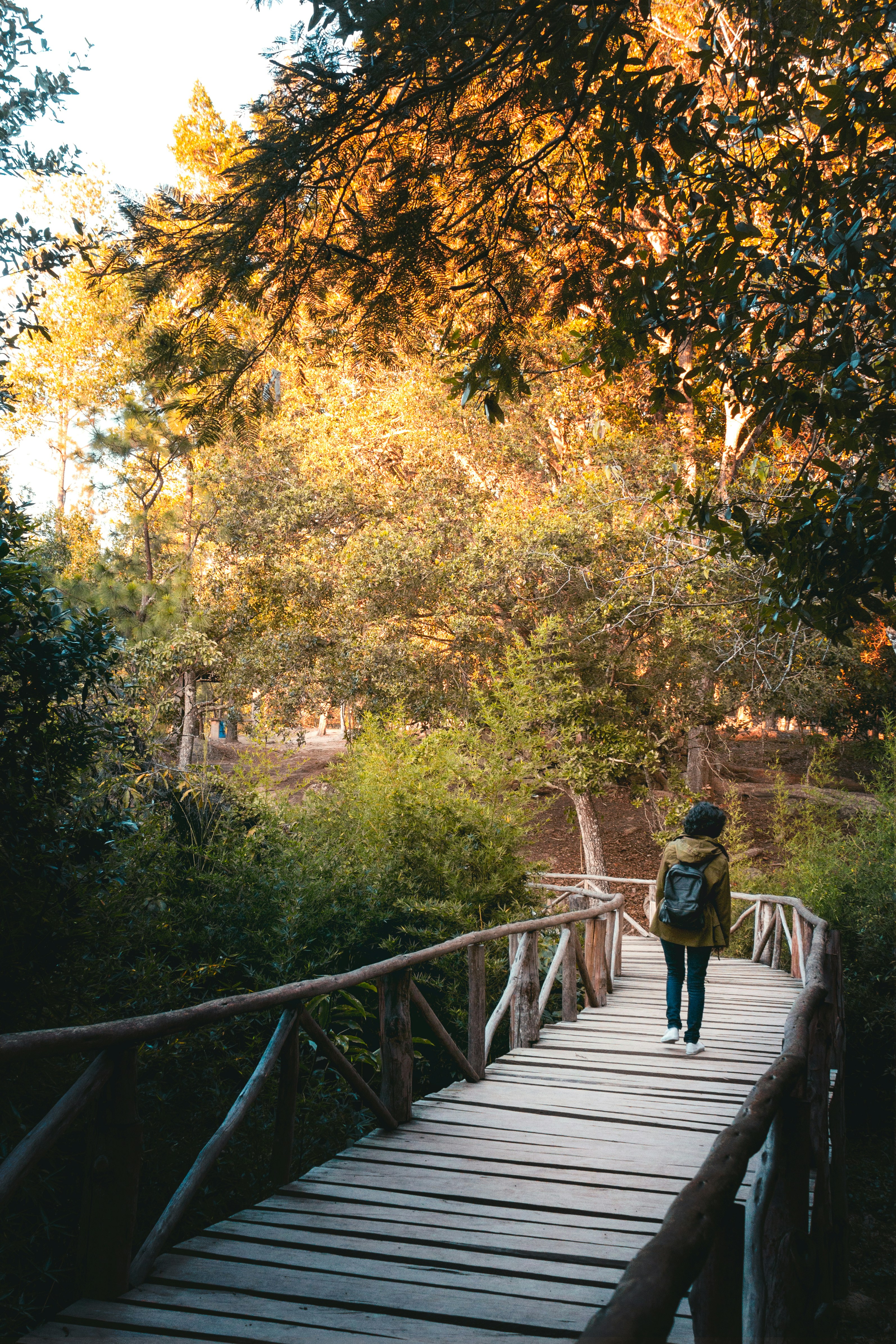 Walking Bridge Pictures | Download Free Images on Unsplash