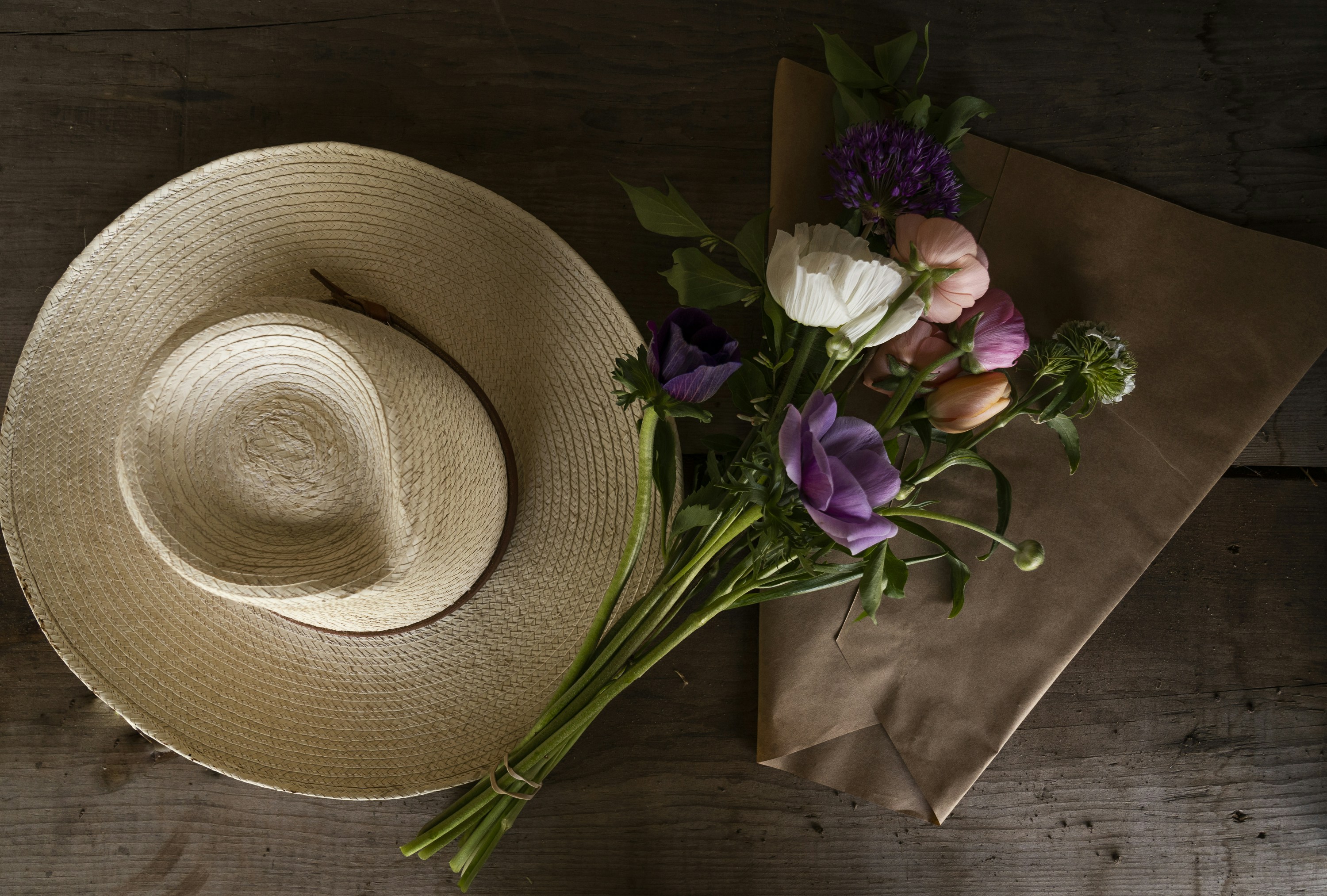Brown cowboy hat beside purple flower photo – Free Pottstown Image on ...