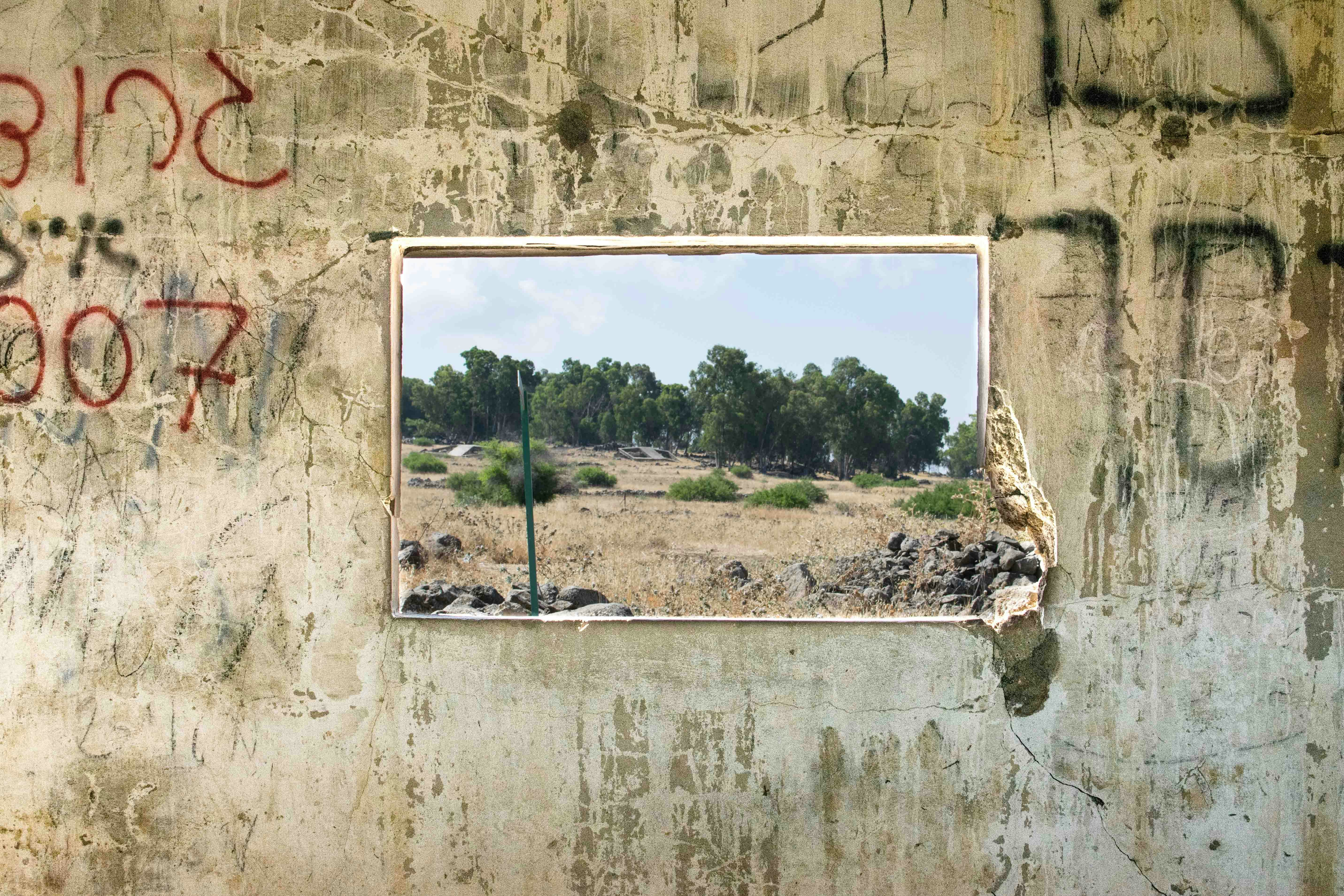 Through the Fractured Frame: A Graffiti-Washed Wall Reveals a Quiet Field