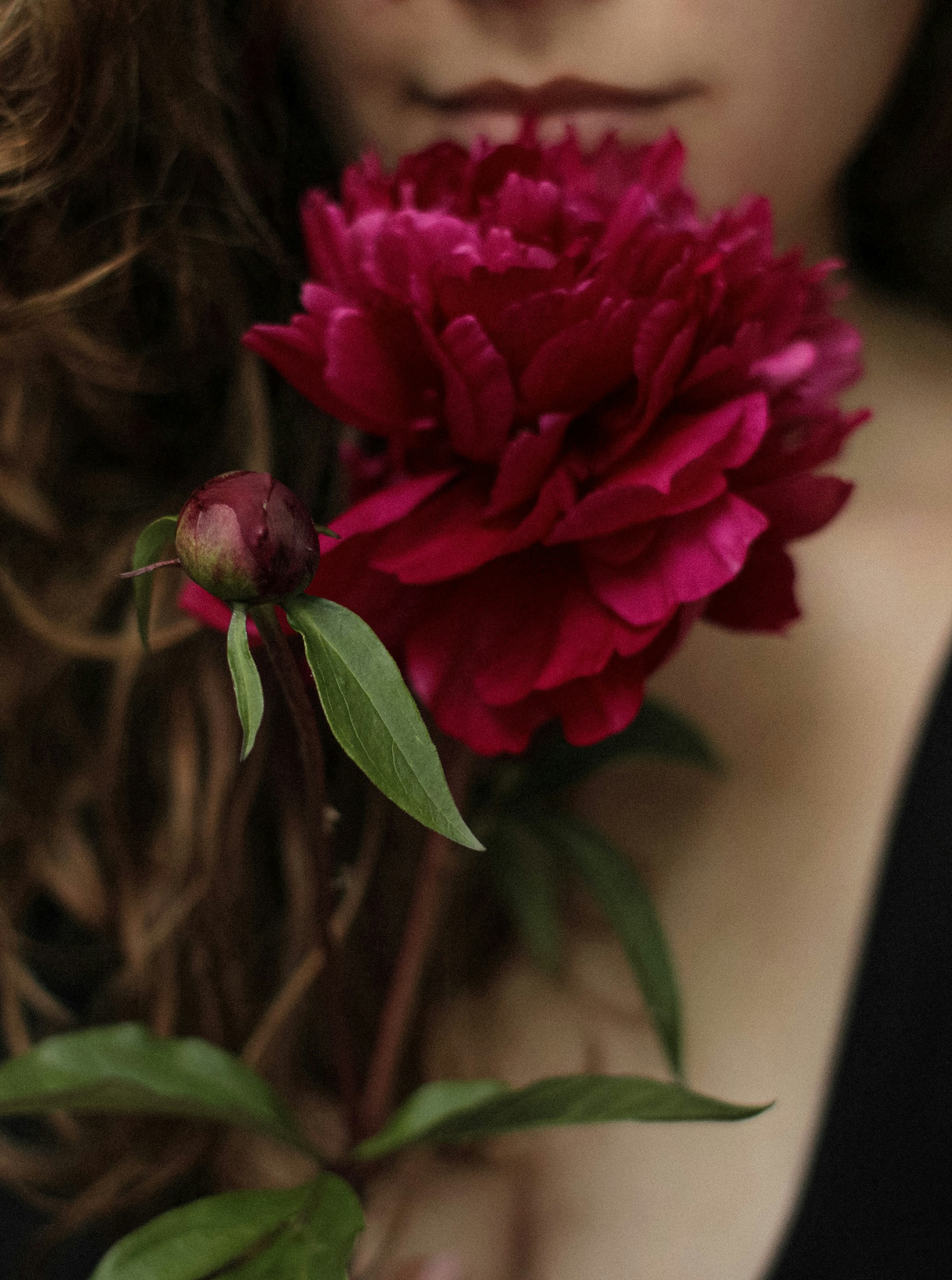 Crimson Peony in Soft Focus, Framed by a Subtle Silhouette