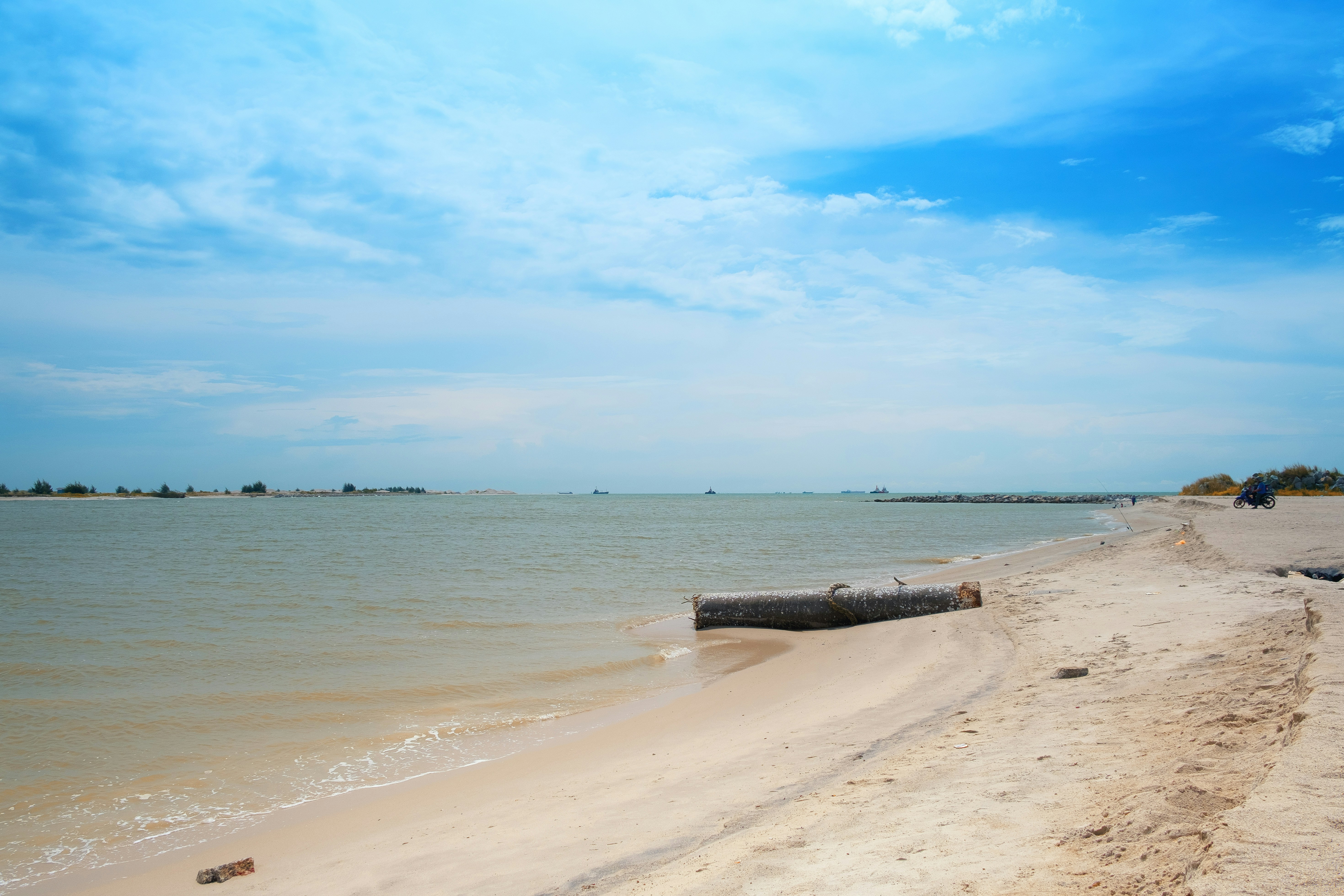 Brown wooden log on beach during daytime photo – Free Water Image on ...