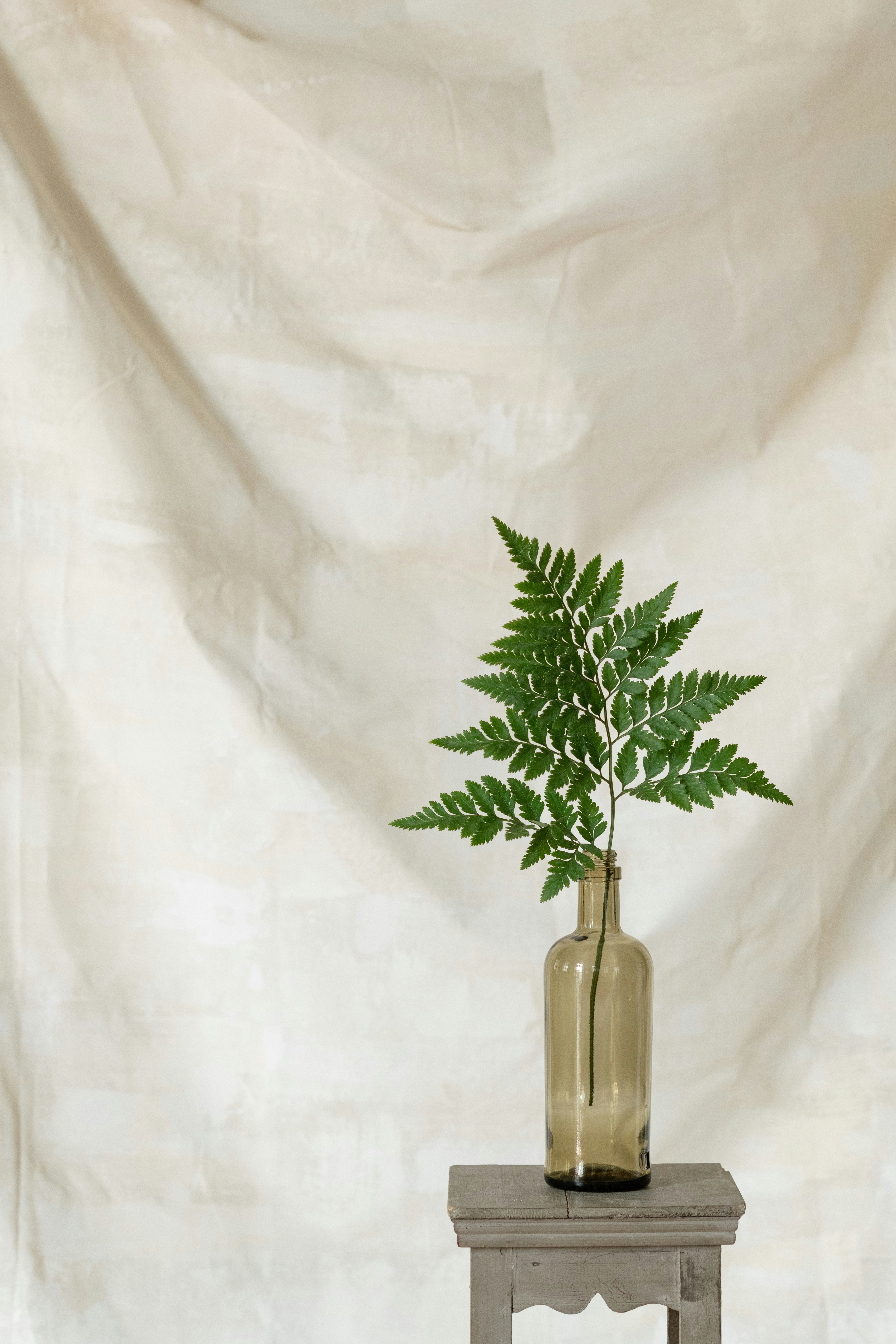 fern in a vintage glass bottle in front of a painted canvas backdrop