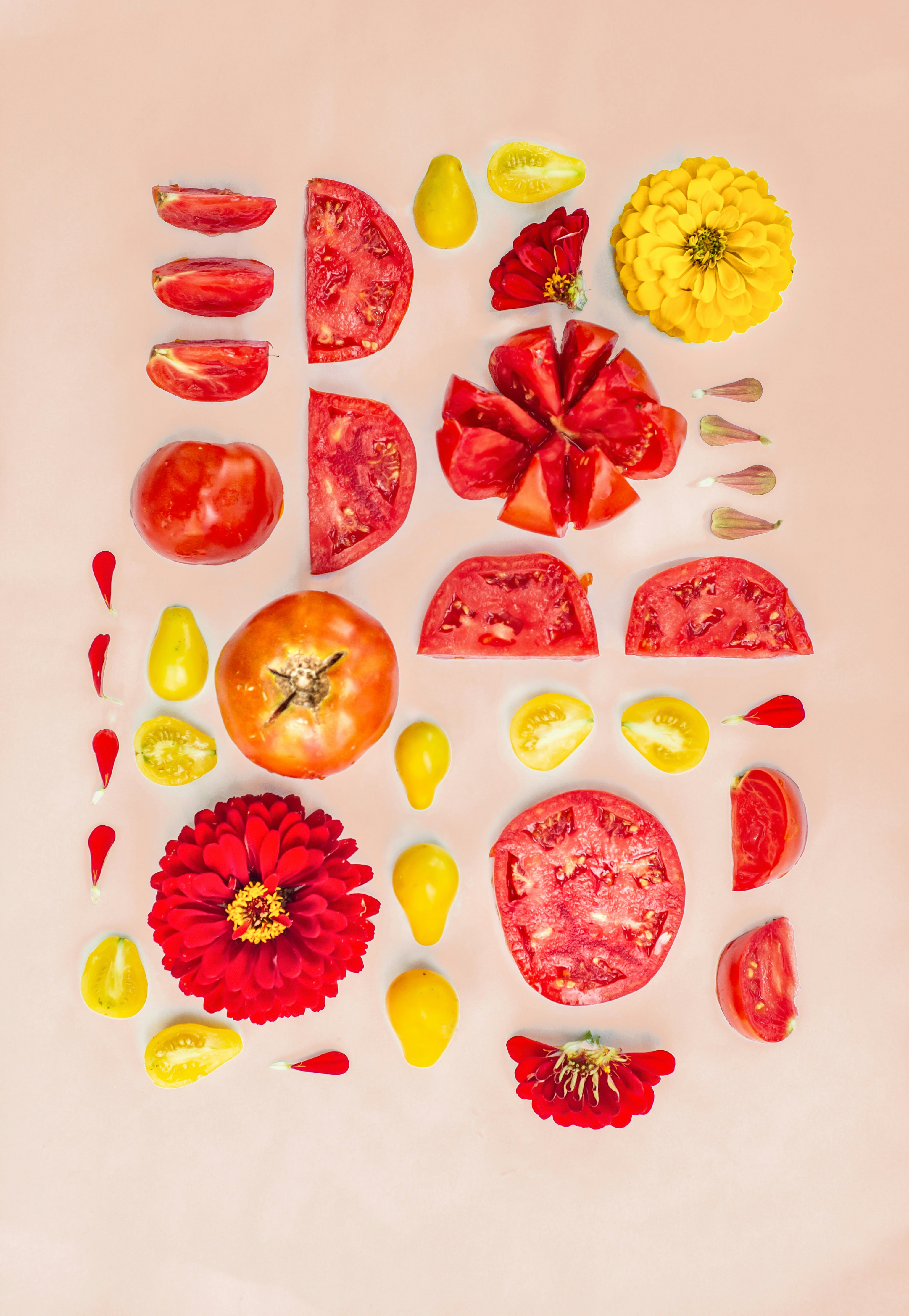 Sun-Kissed Medley: A Pantry of Watermelon, Tomato, and Day-Glo Blossoms