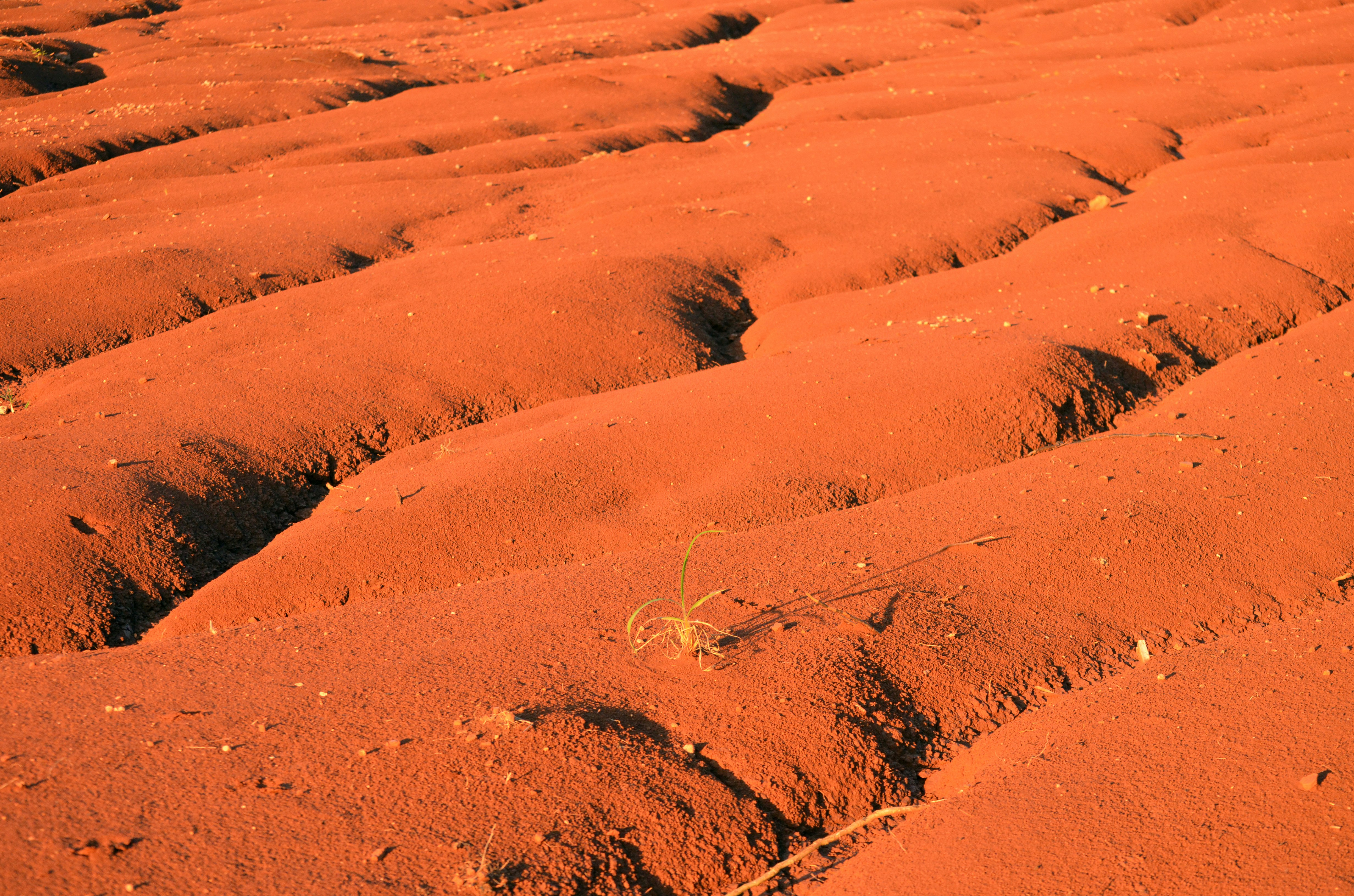 Brown sand with snow during daytime photo – Free Orange Image on Unsplash