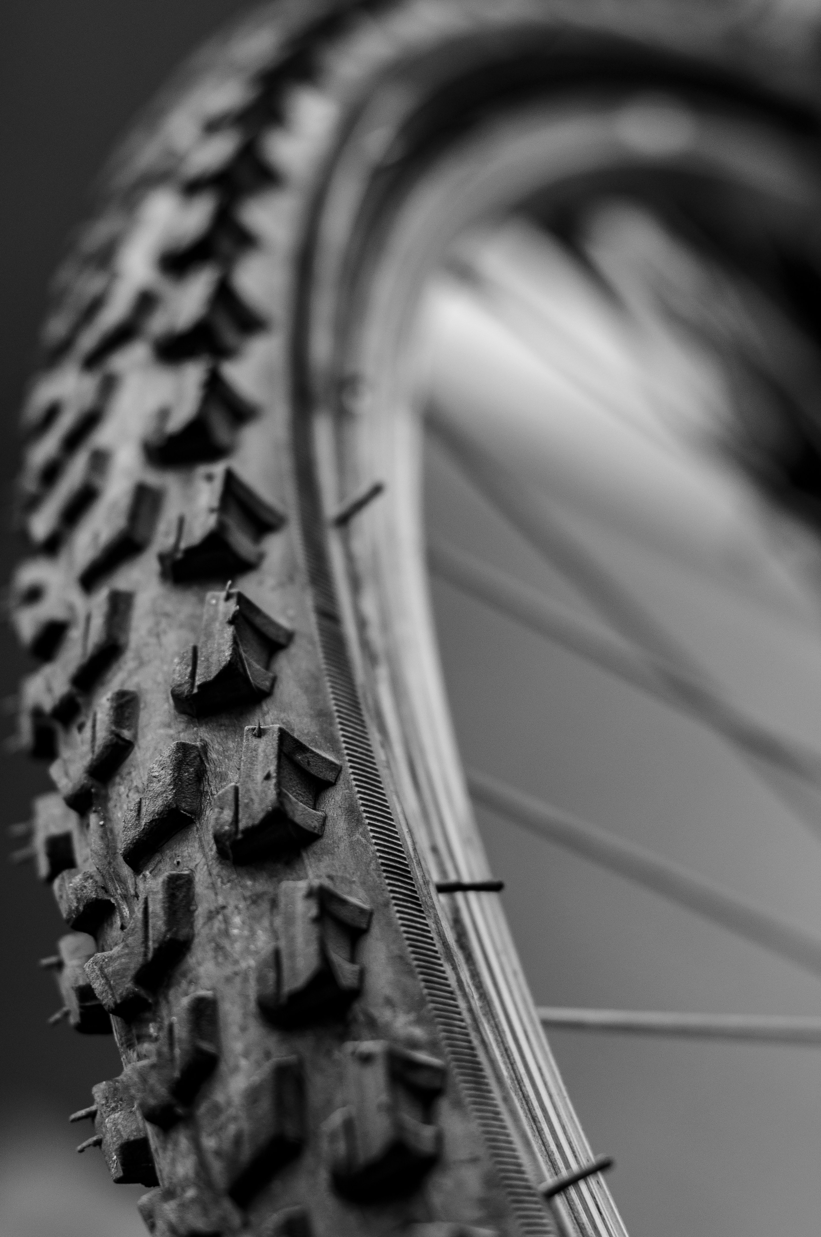 Monochrome Macro: The Rugged Geometry of a Mountain Bike Tire
