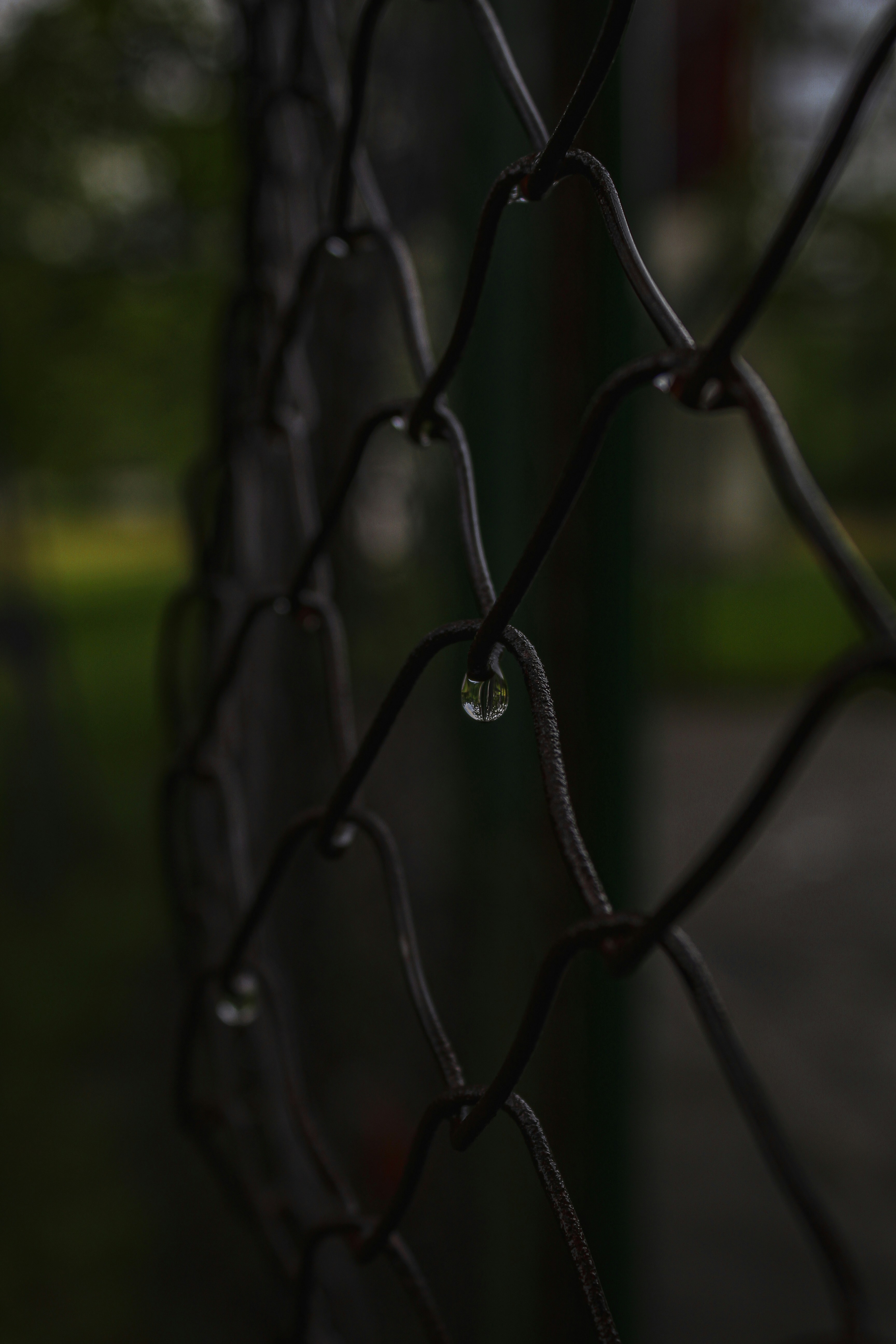 Close-up of a water droplet hanging from a wire fence, with blurred greenery in the background.