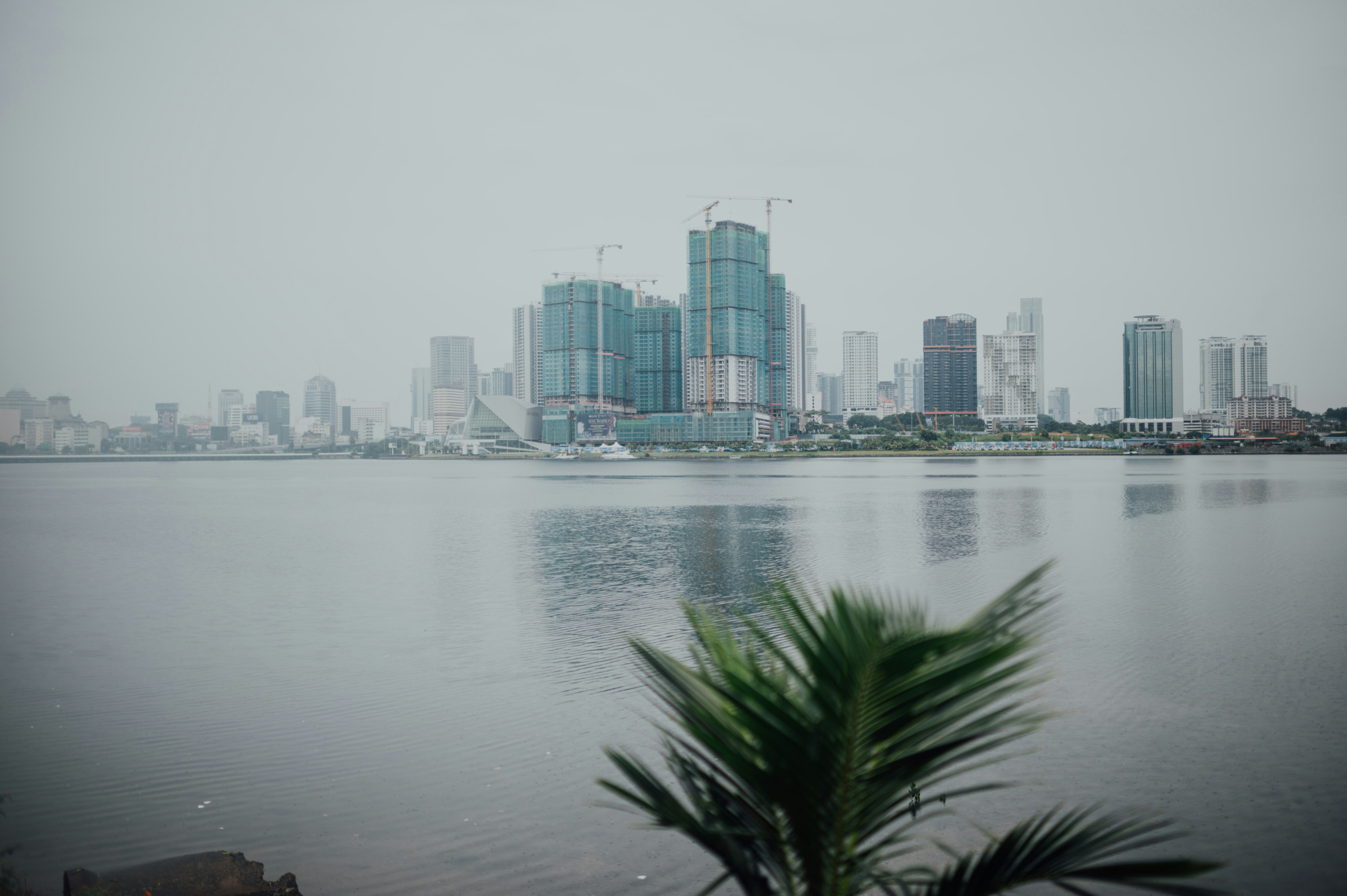 Mist-Washed Glass Skyline Framed by a Palm on the River