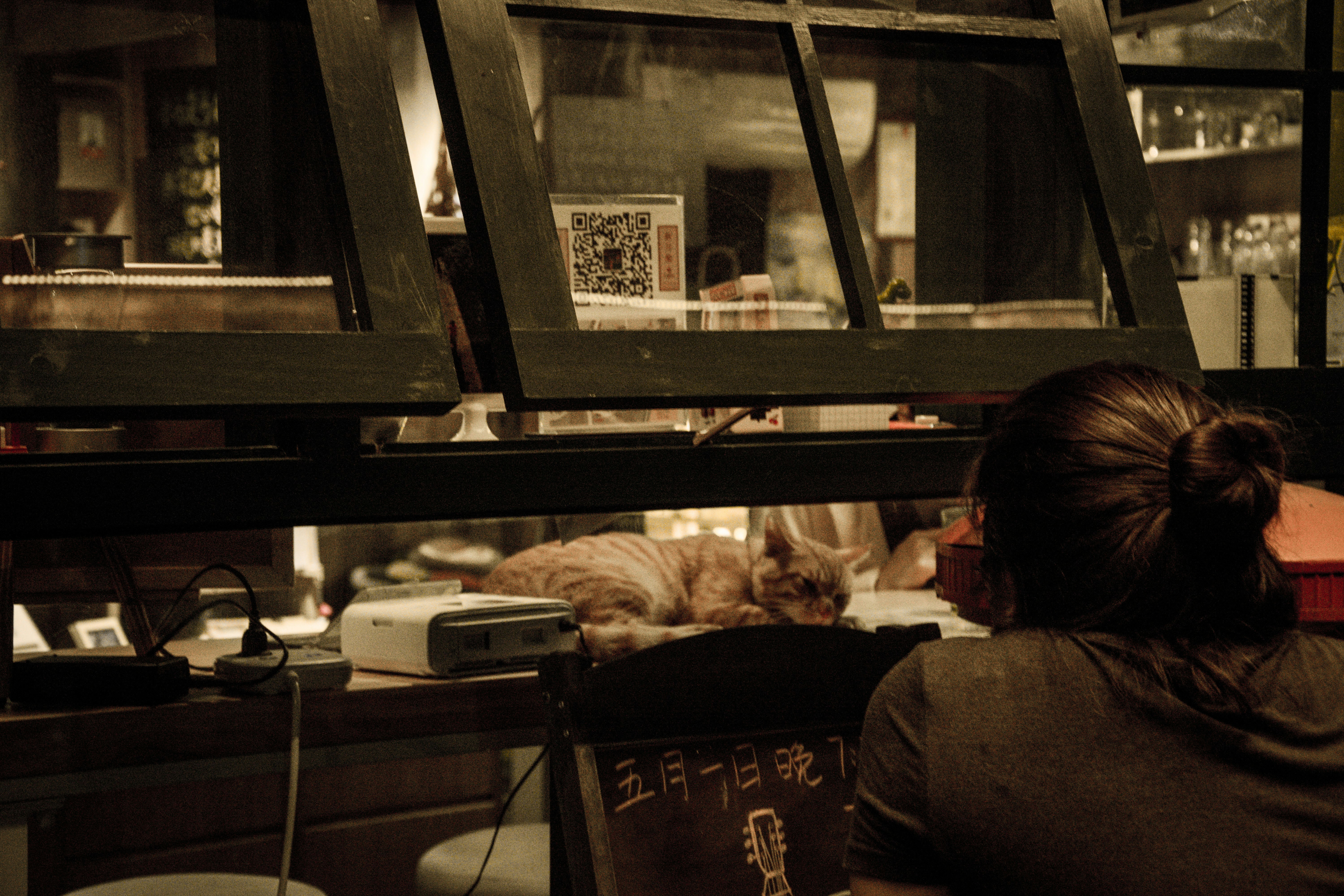Person gazing at a relaxed cat through a café window with warm, dim lighting.