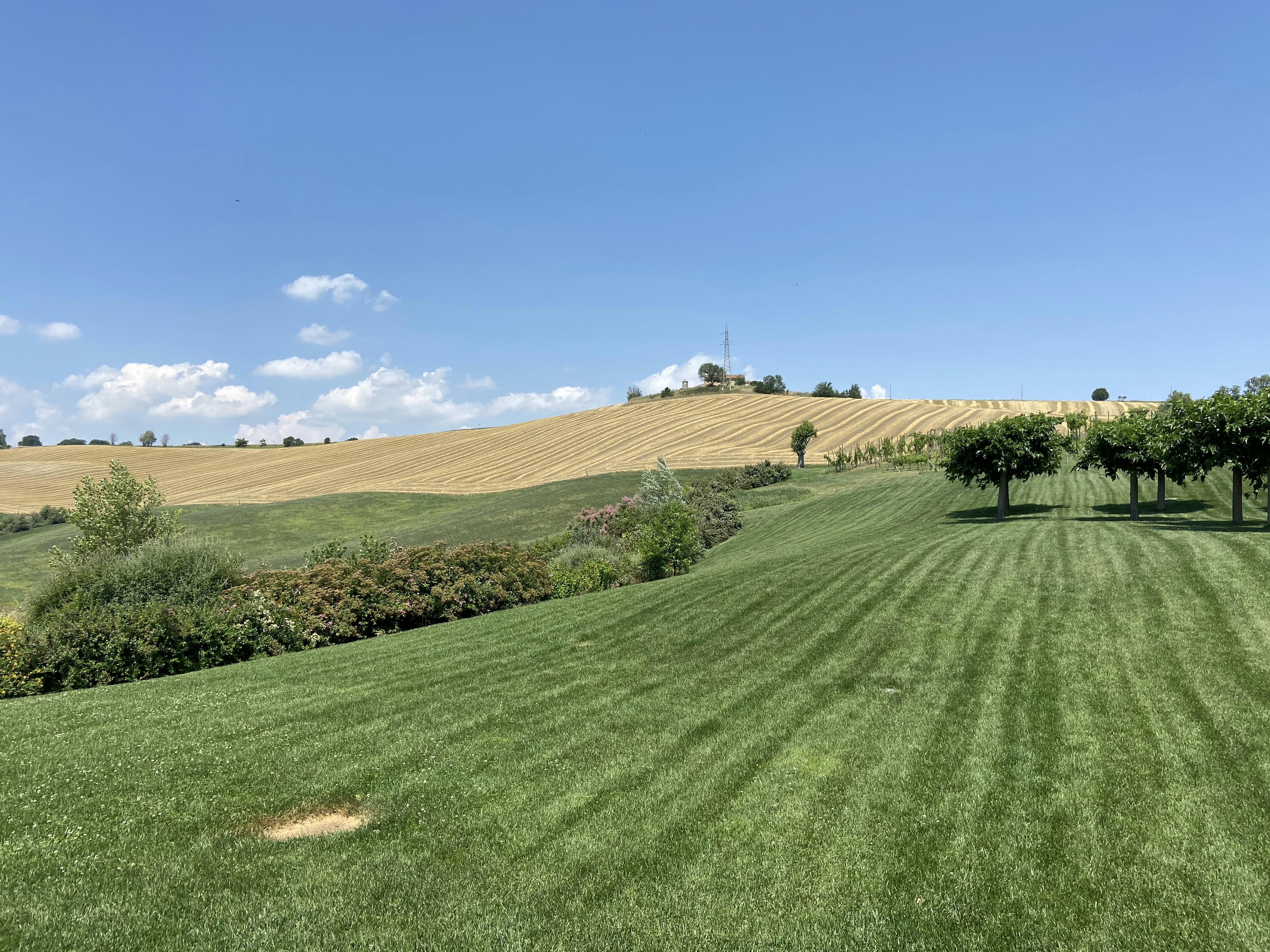 Mowed Lanes Toward a Distant Hilltop