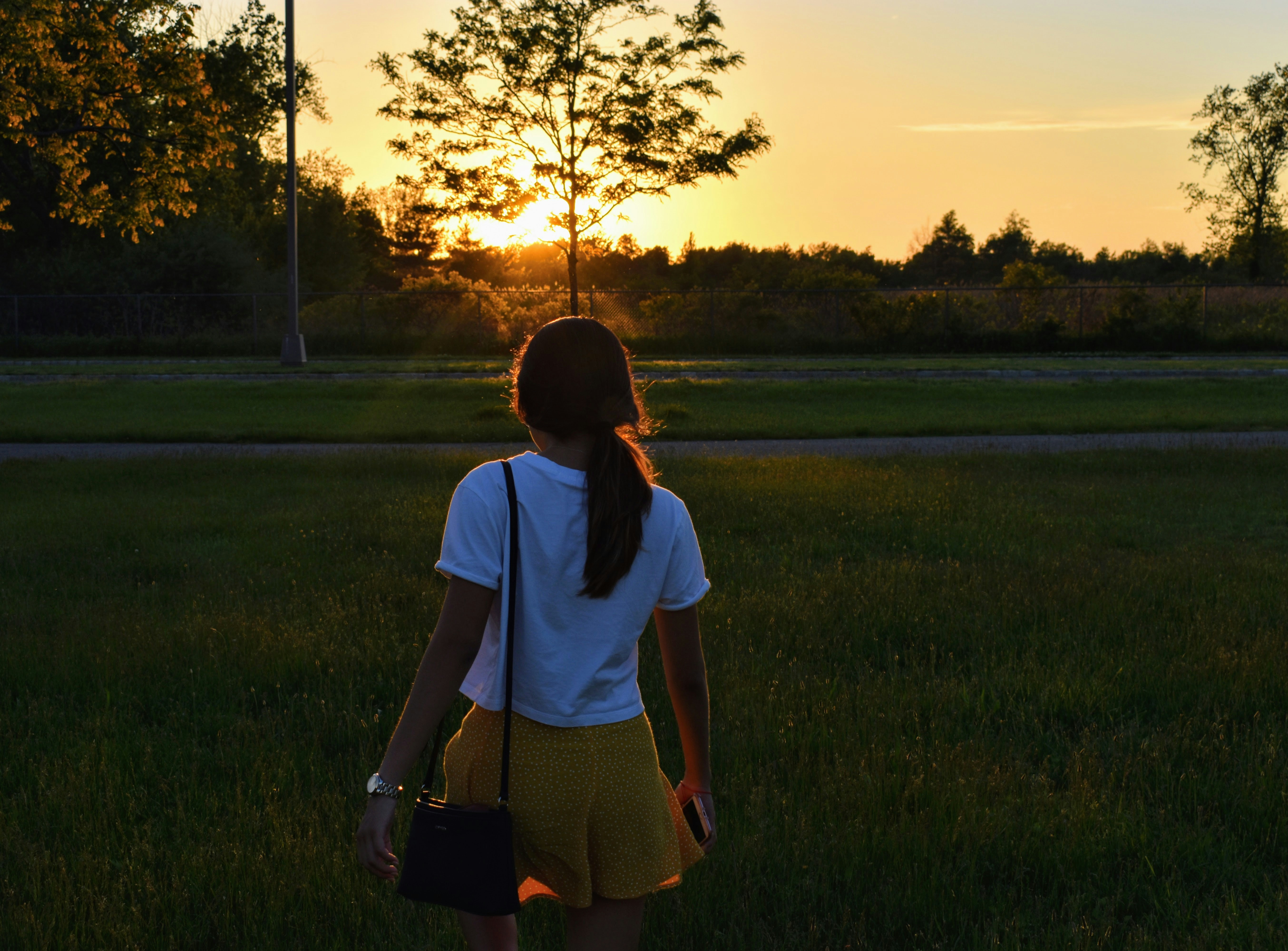Golden Hour Pause: Back-View Portrait in a Sunlit Field