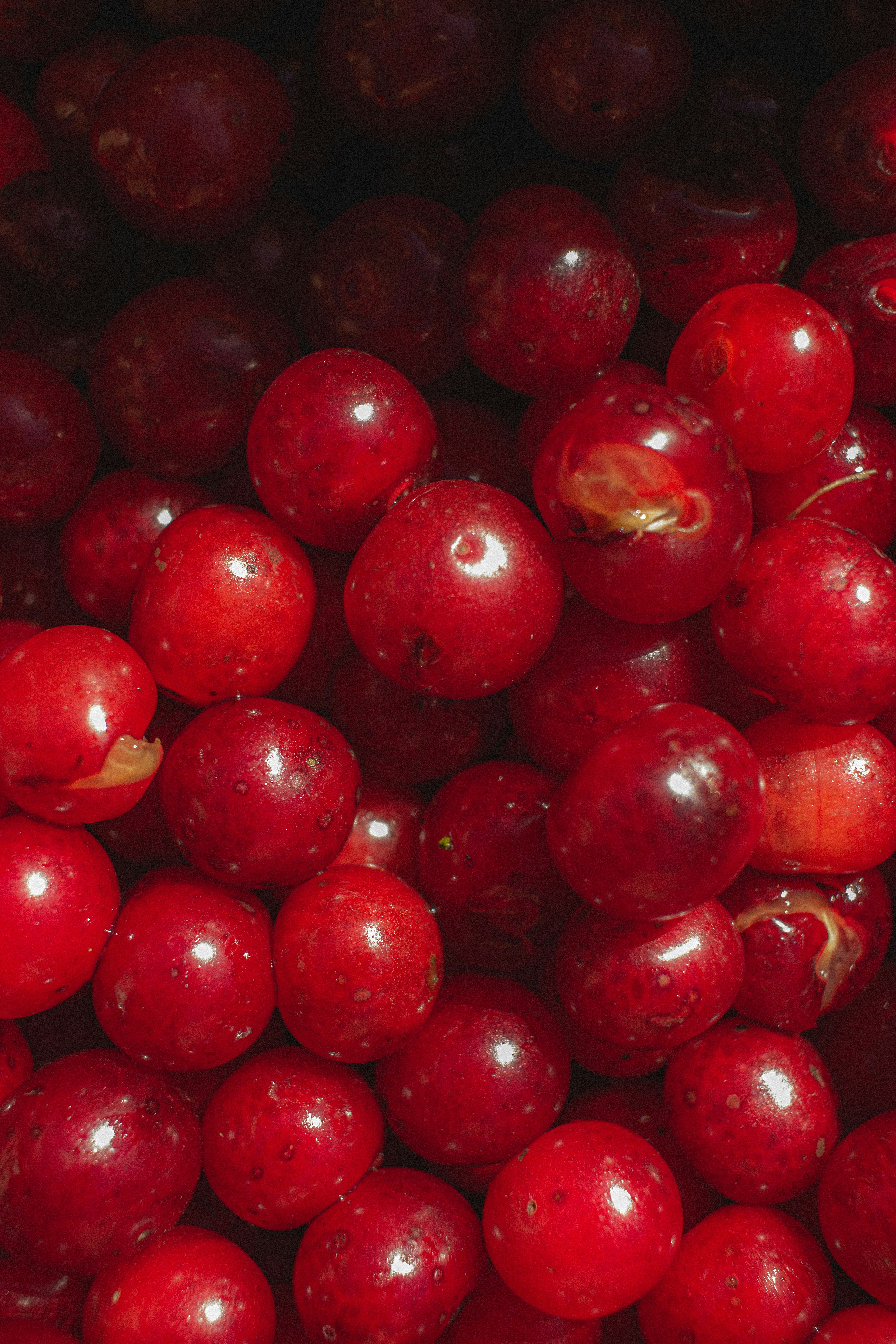 Close-up view of freshly harvested red berries, showcasing their vibrant color and texture. The image highlights the natural beauty of the fruit.