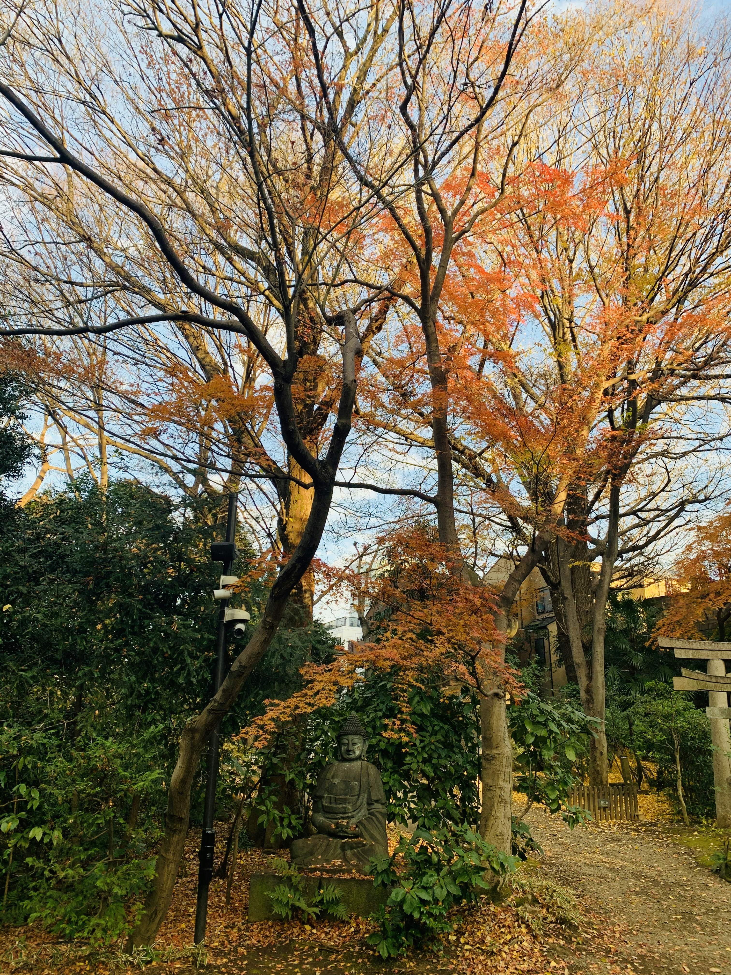 Buddha statue nestled among vibrant autumn foliage in a tranquil garden setting.