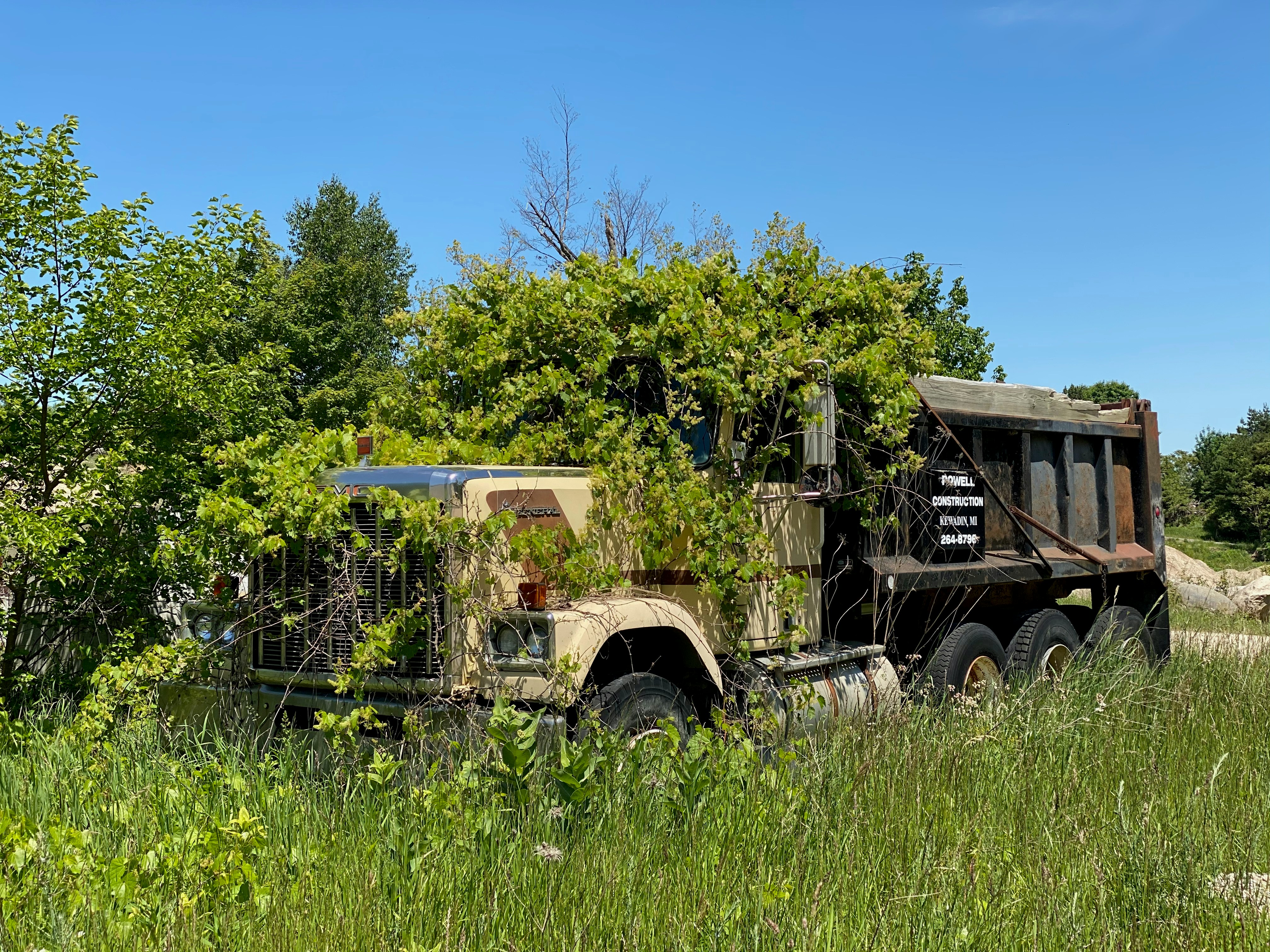 The former workhorse has been put out to pasture.  | green trees beside brown and gray vintage truck during daytime
