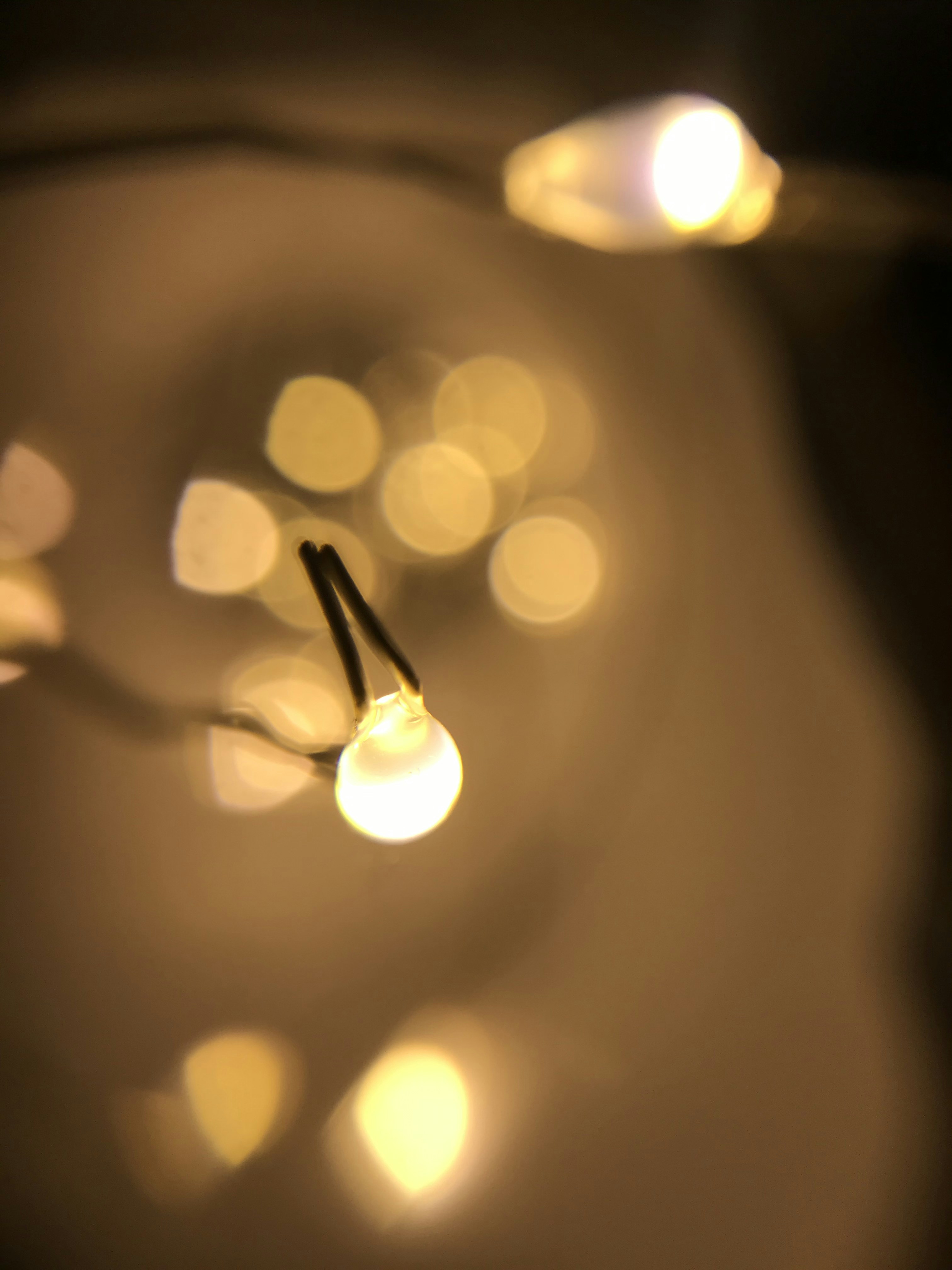 Subhad Marsani (@suvat) | Unsplash Photo Community