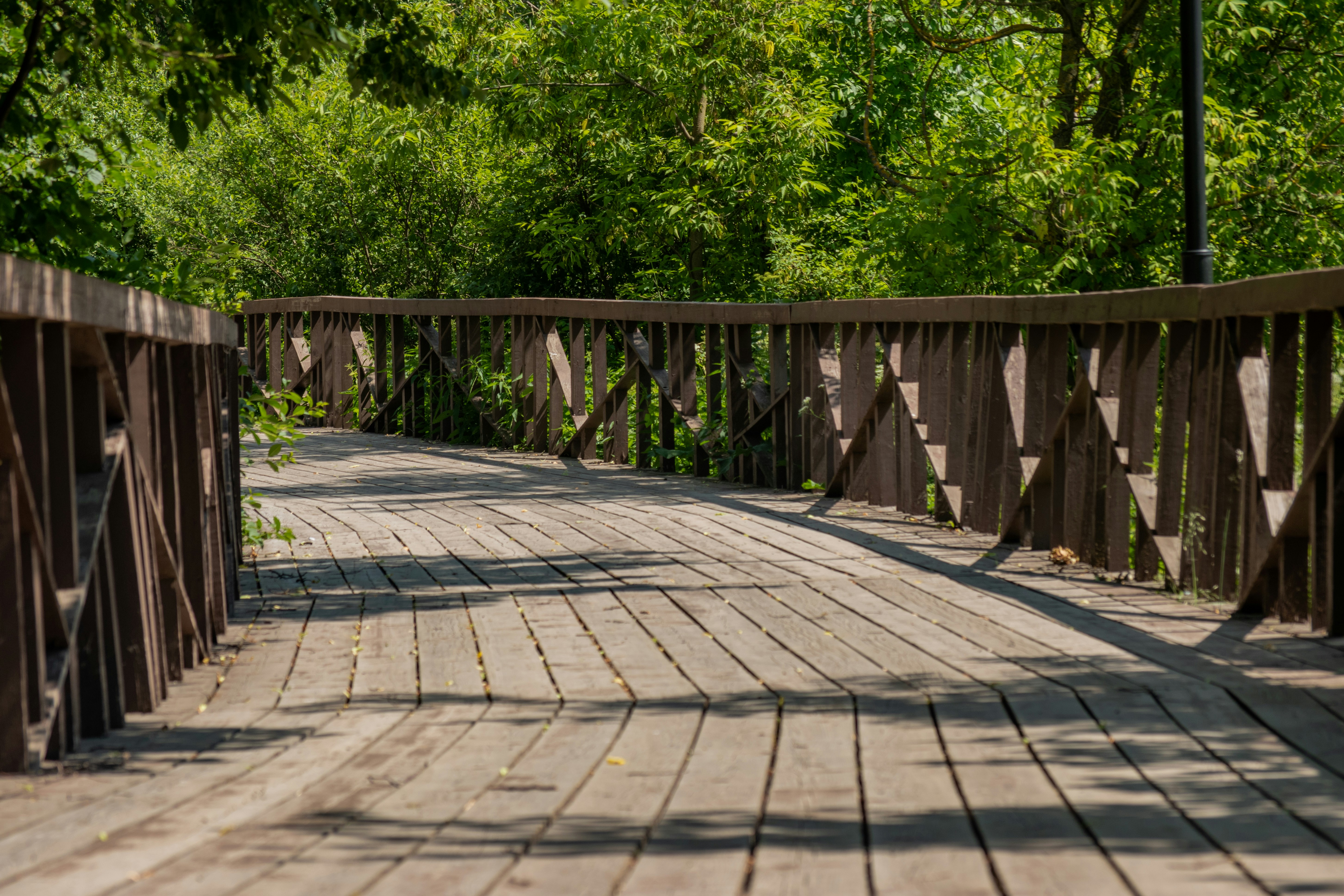 Brown wooden bridge near green trees during daytime photo – Free ...