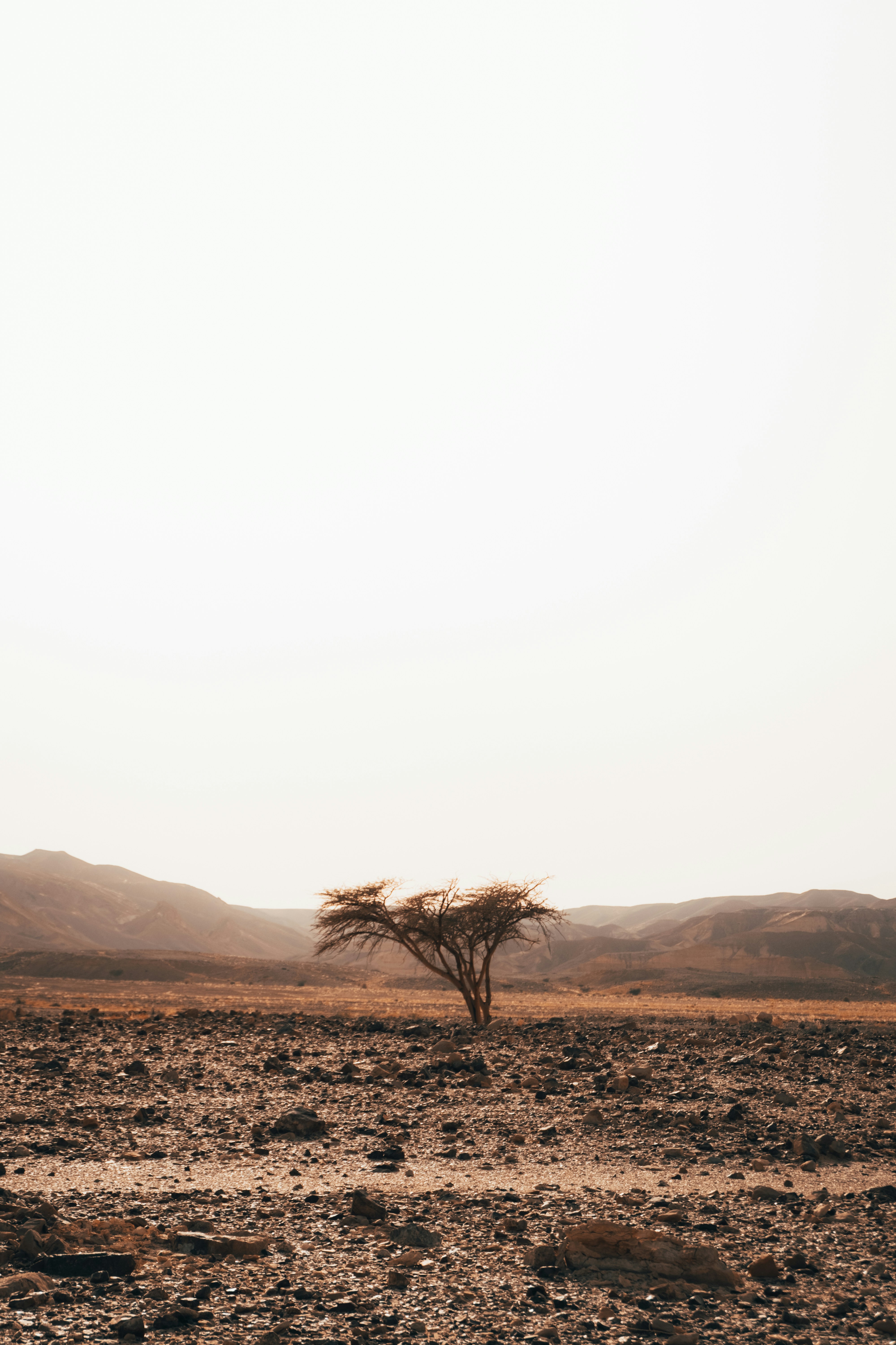 Ground Background Pictures | Download Free Images on Unsplash