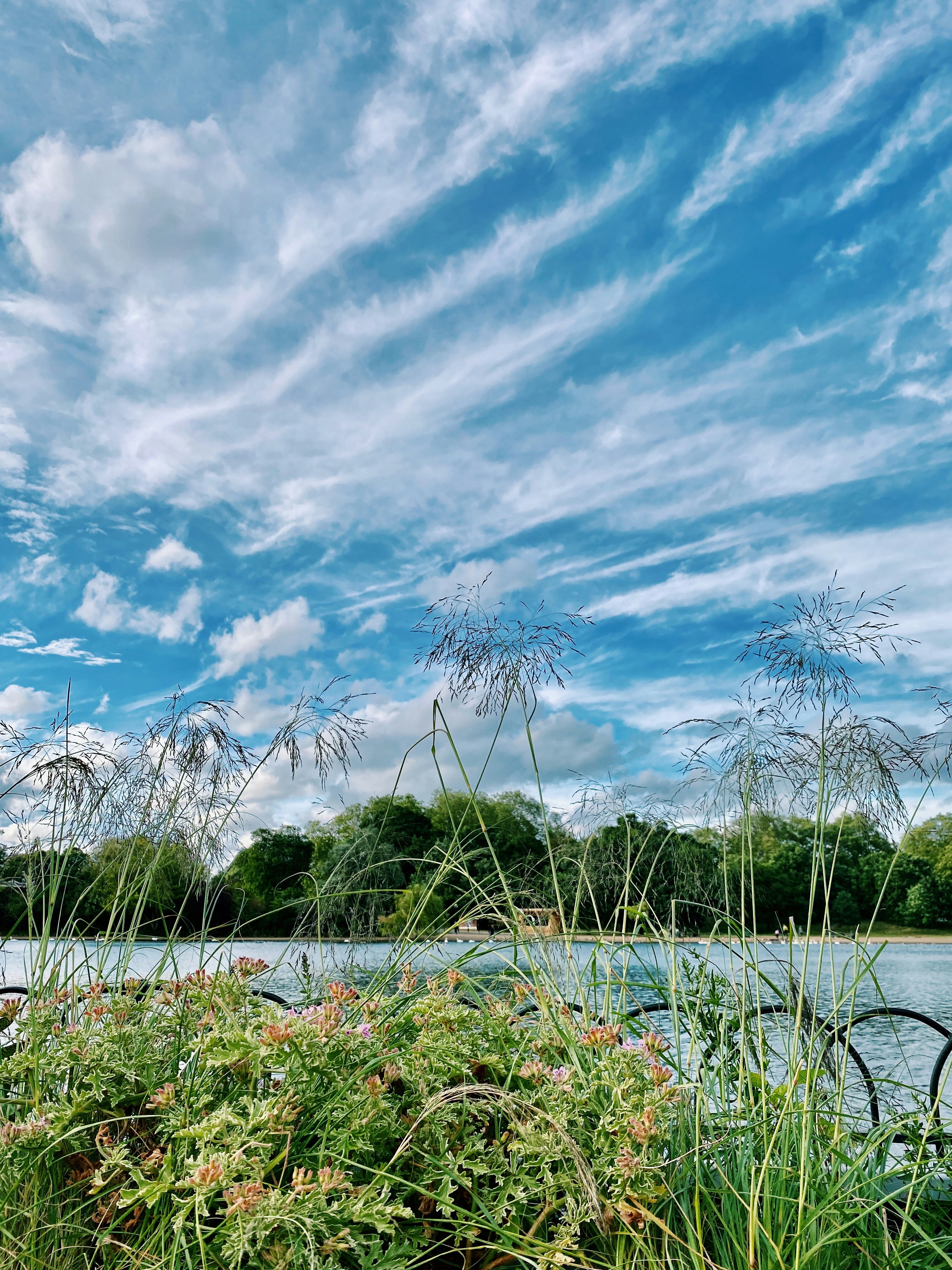 Green grass field under blue sky during daytime photo – Free United ...