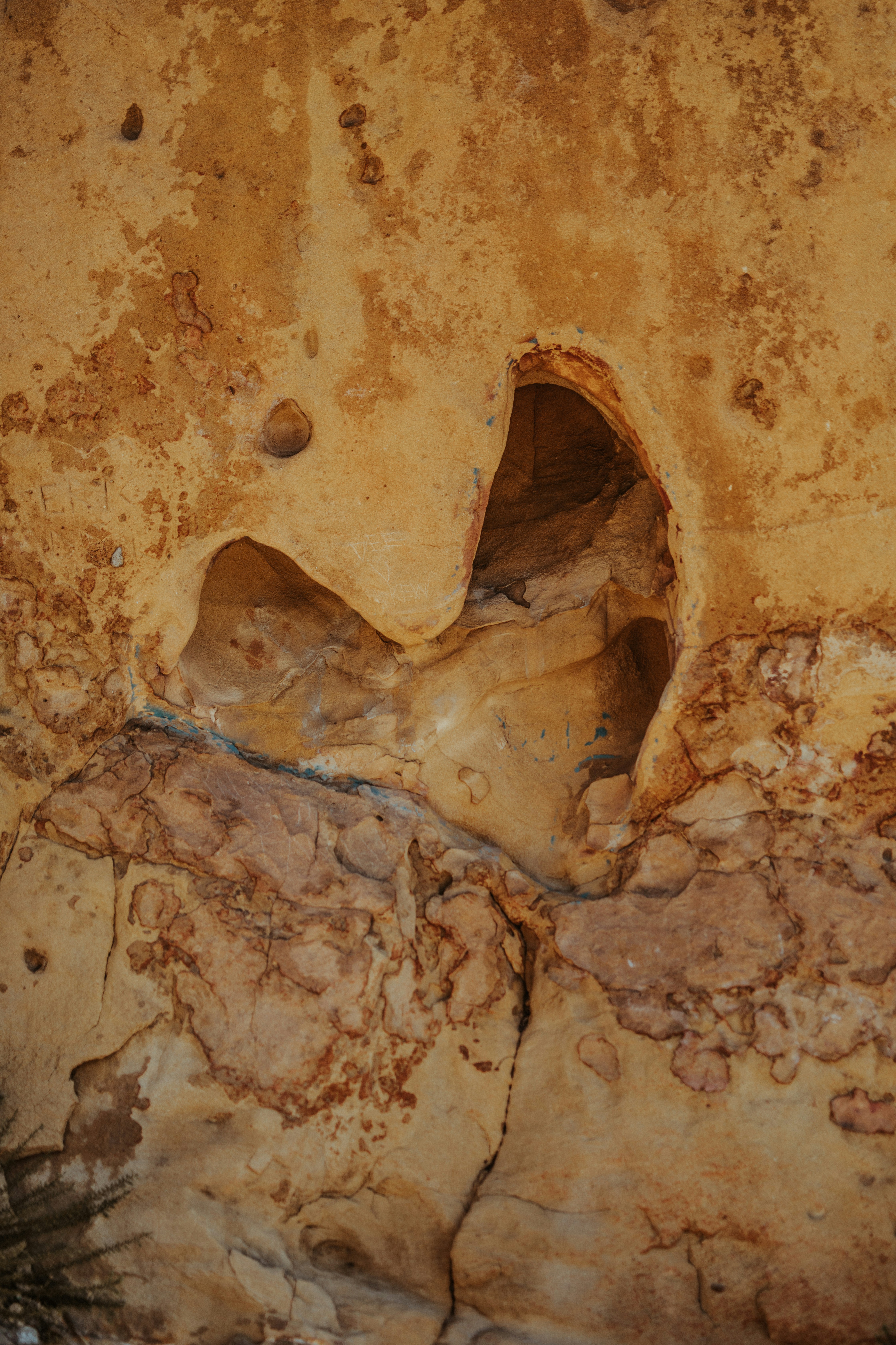 Nature's Textured Canvas: A Geological Portrait