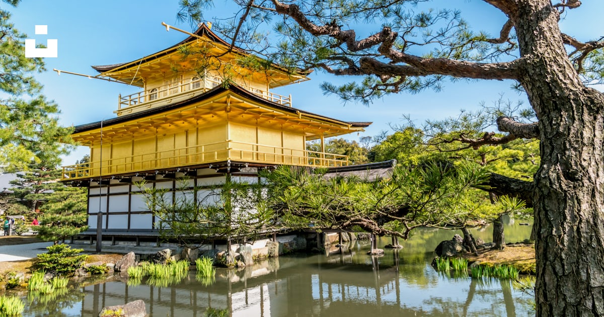 日中の緑の木々と水域の近くの茶色と白のコンクリートの建物の写真 Unsplashの無料日本写真