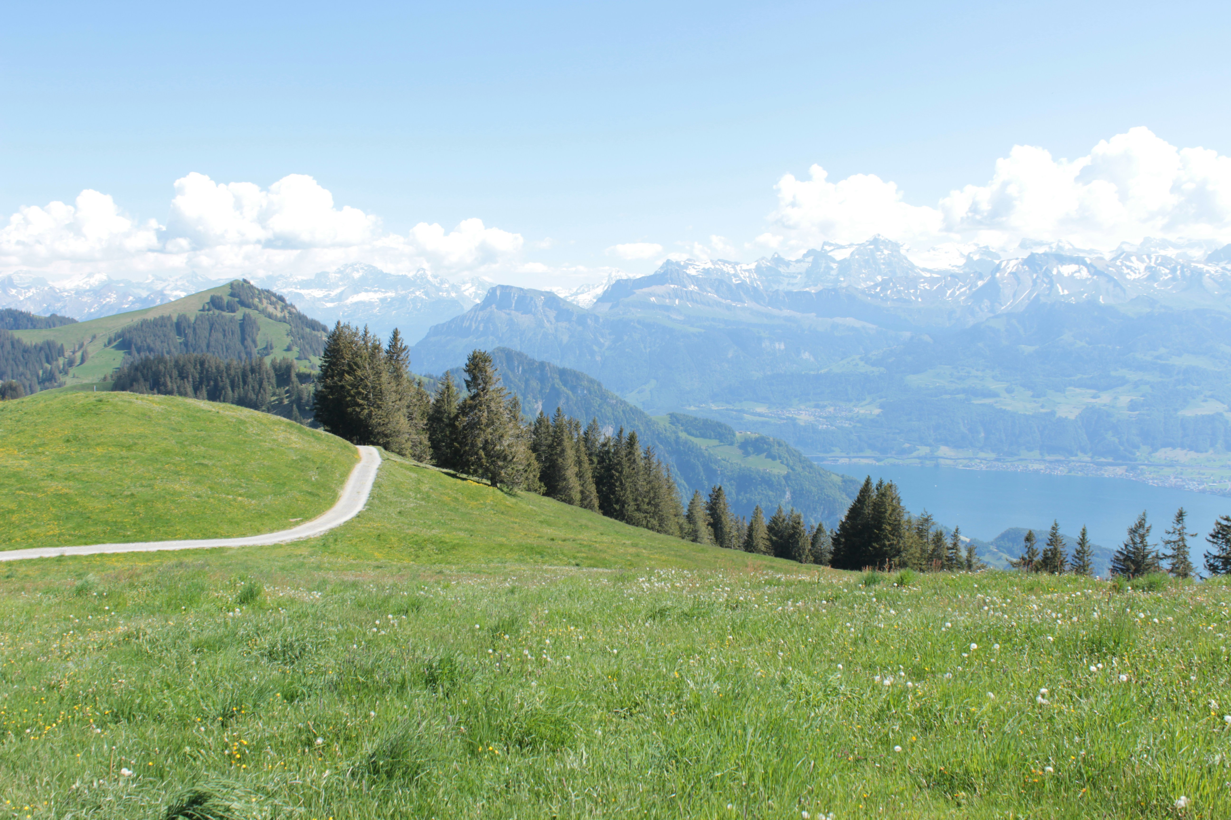 Green grass field near green trees and mountains during daytime photo ...