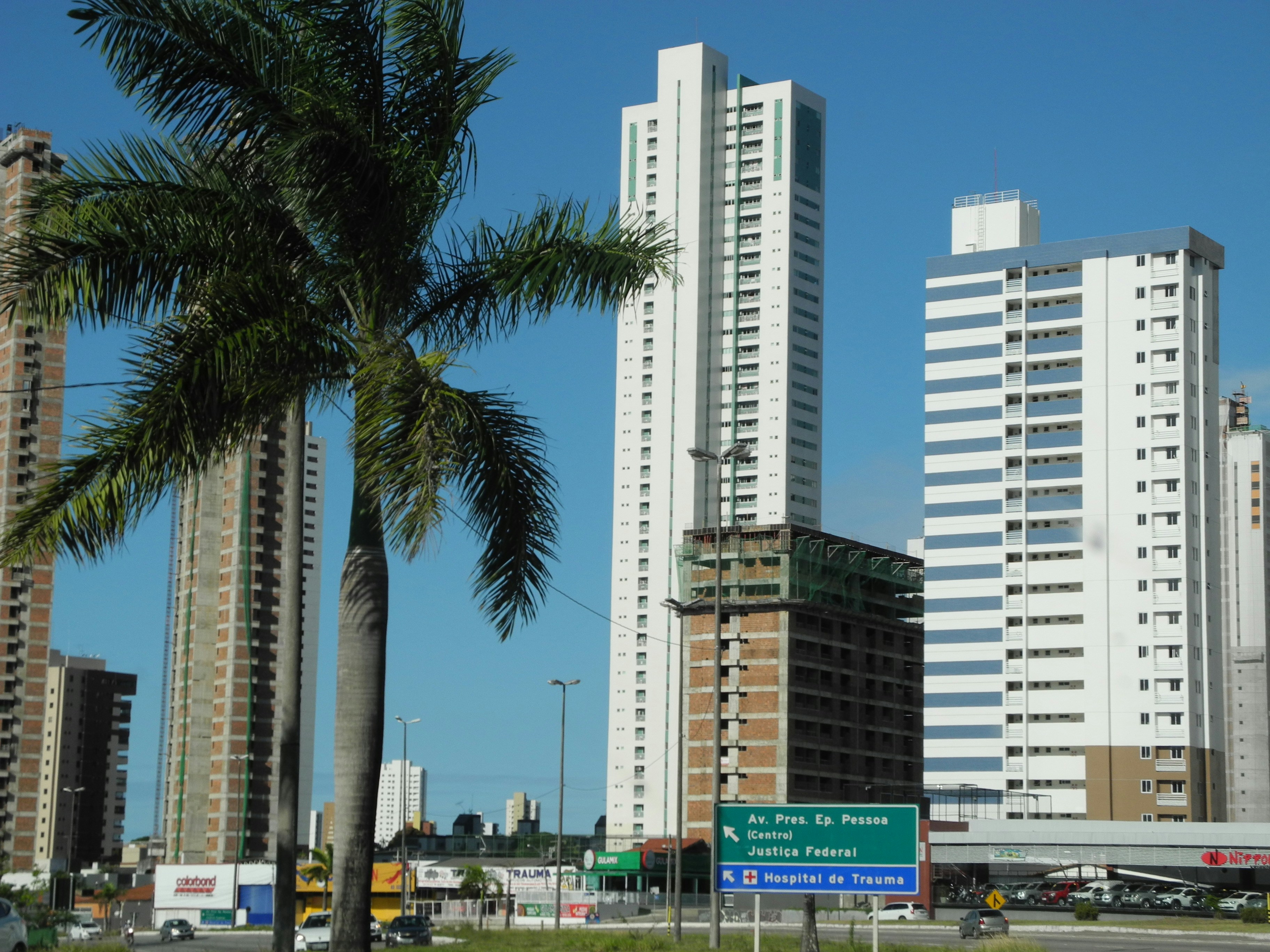 Tall white skyscrapers rise beside lush palm trees under a clear blue sky.
