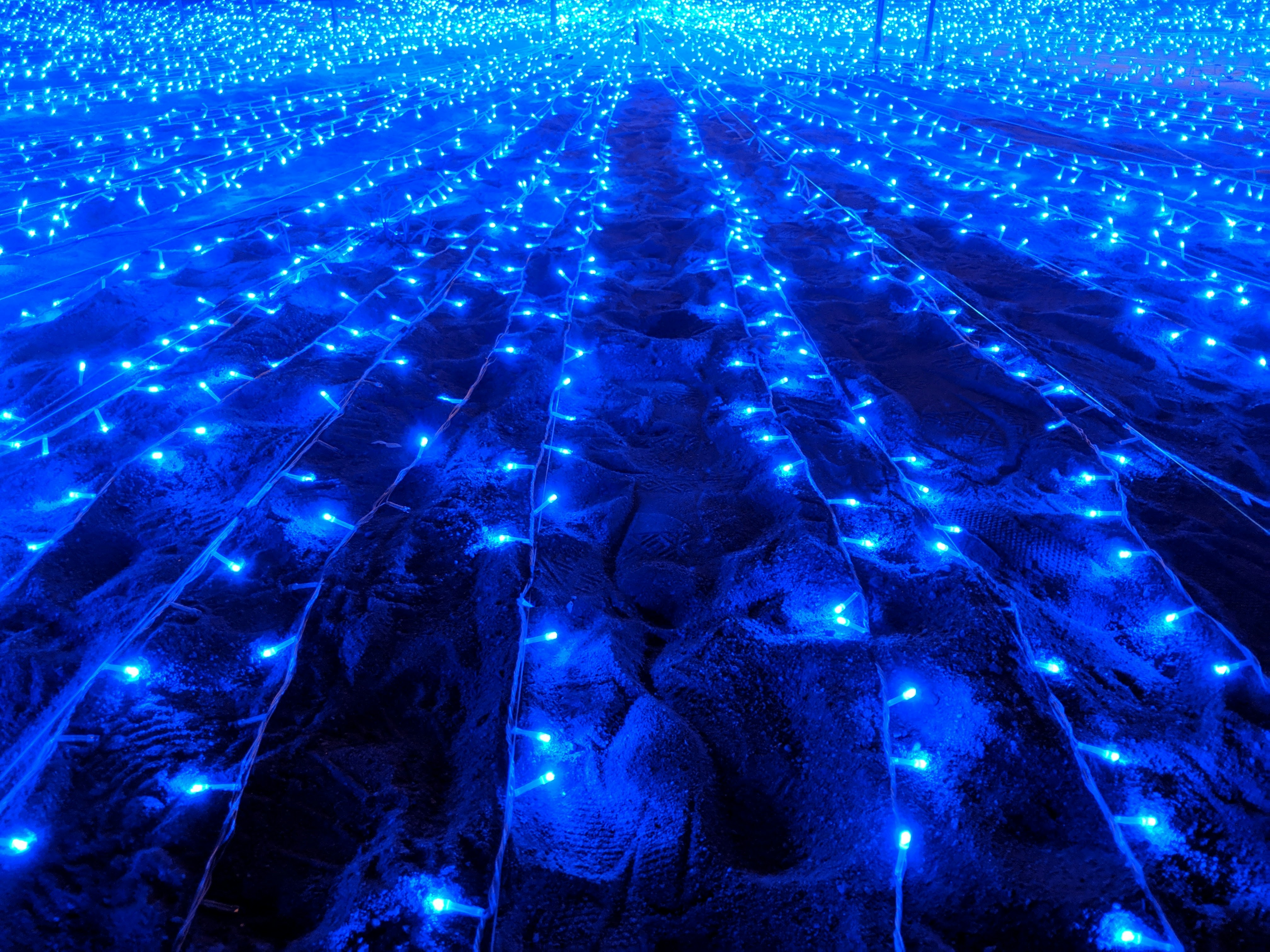 Définition de scintiller | Dictionnaire français