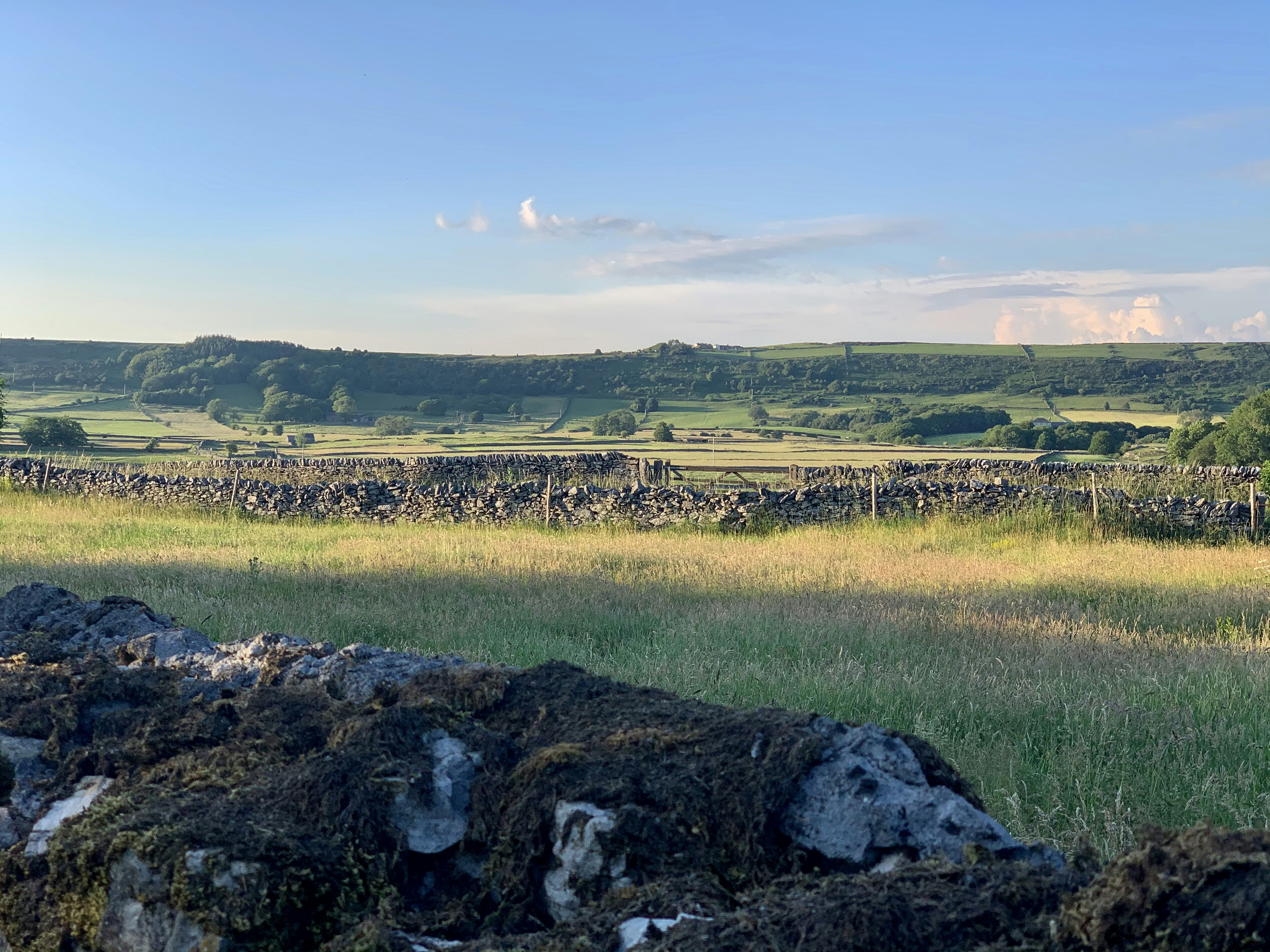 Whispers of the Rolling Hills