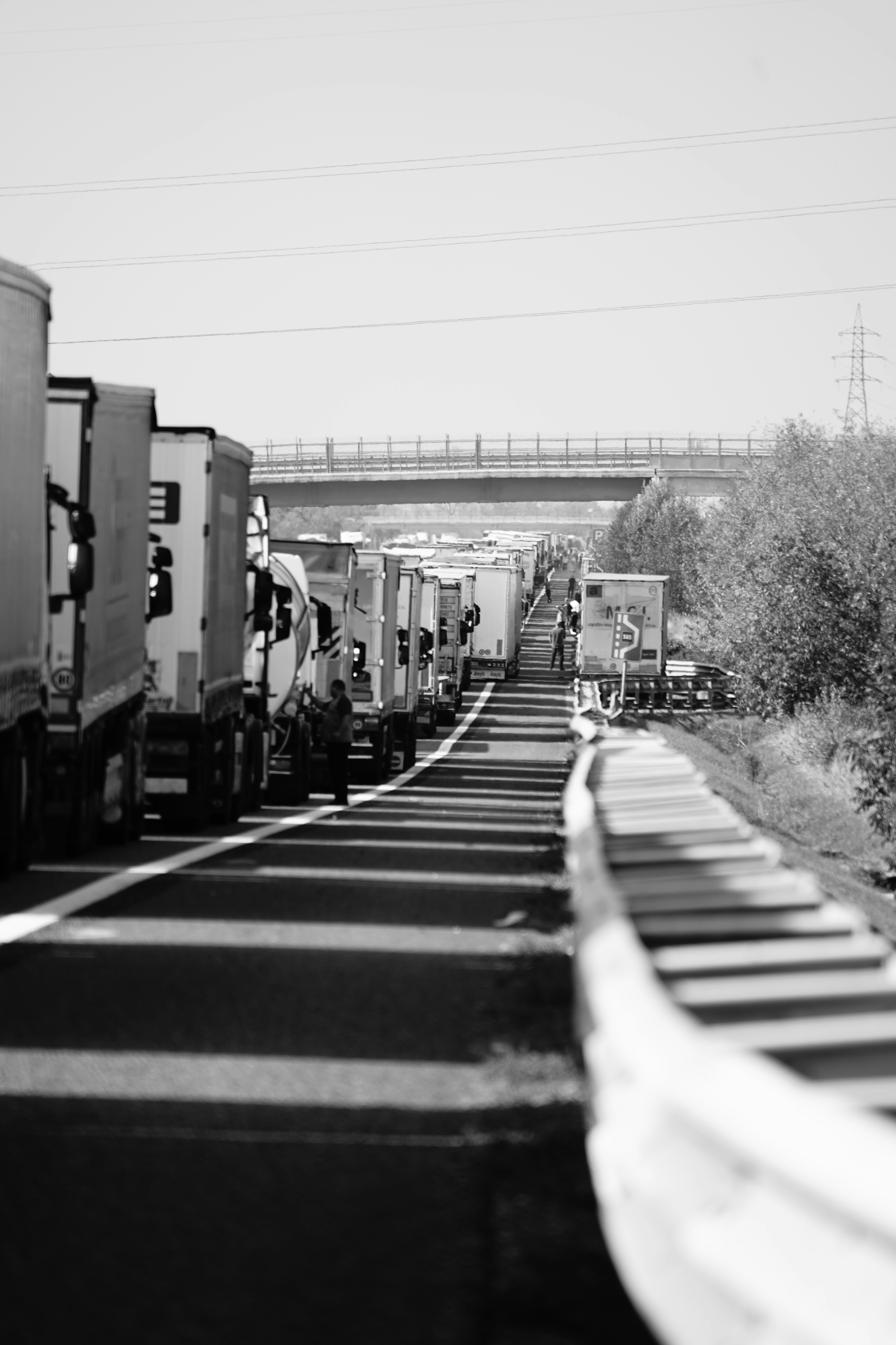 Queue at the Horizon: A Monochrome Highway of Trains