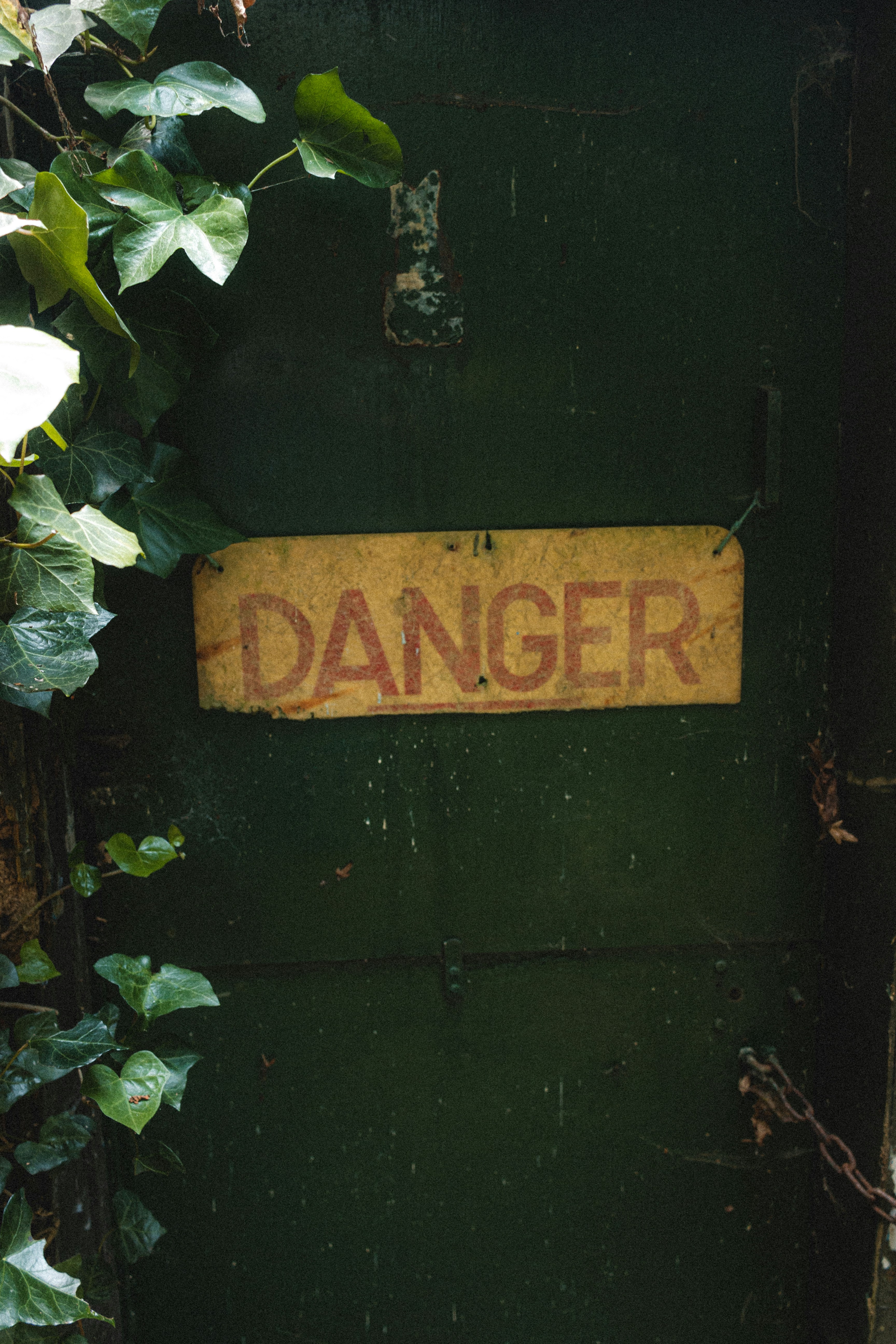 Weathered 'DANGER' sign partially obscured by ivy on a green door, hinting at hidden secrets beyond.