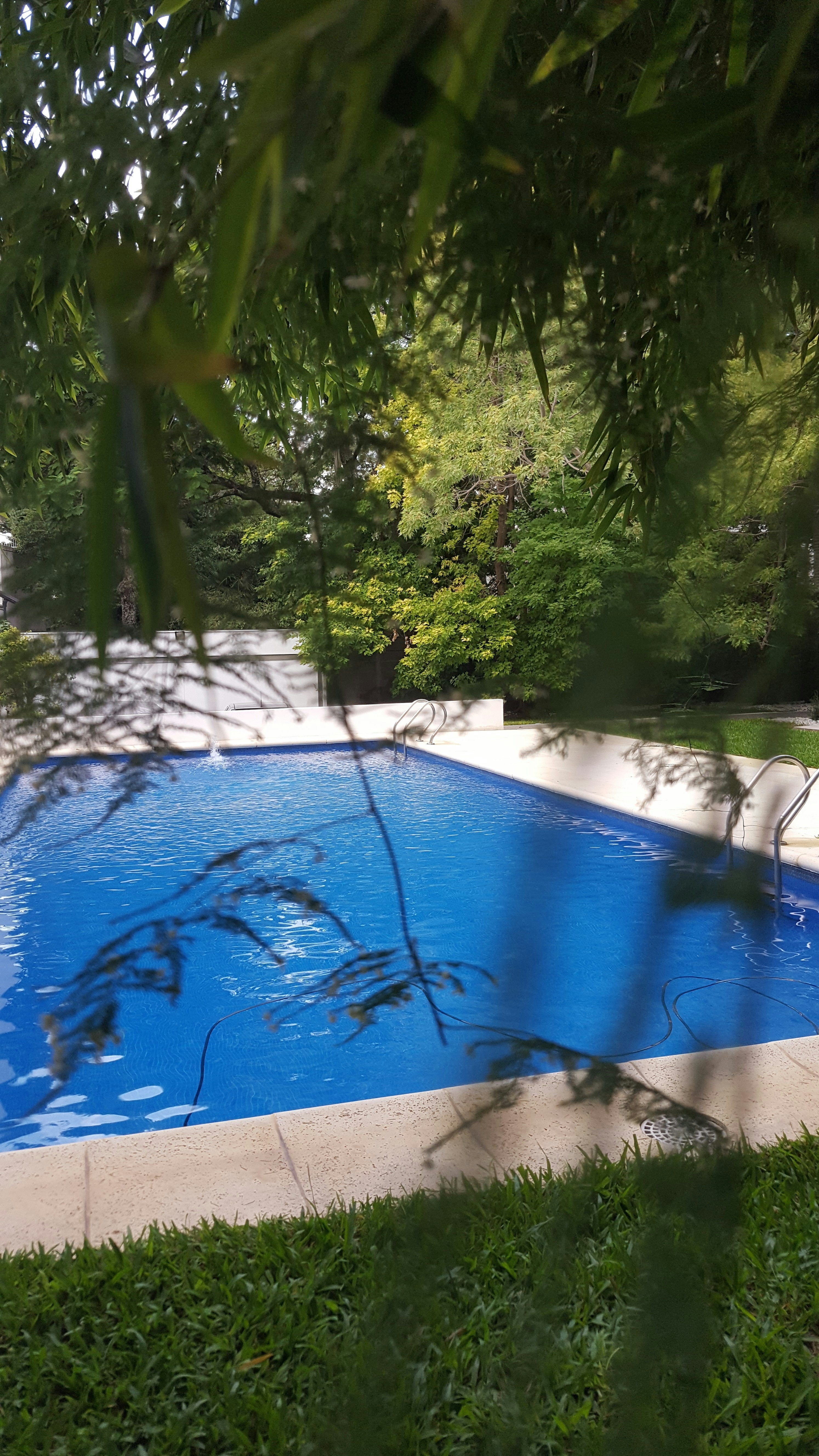 Tranquil swimming pool framed by lush greenery, creating a peaceful retreat atmosphere.
