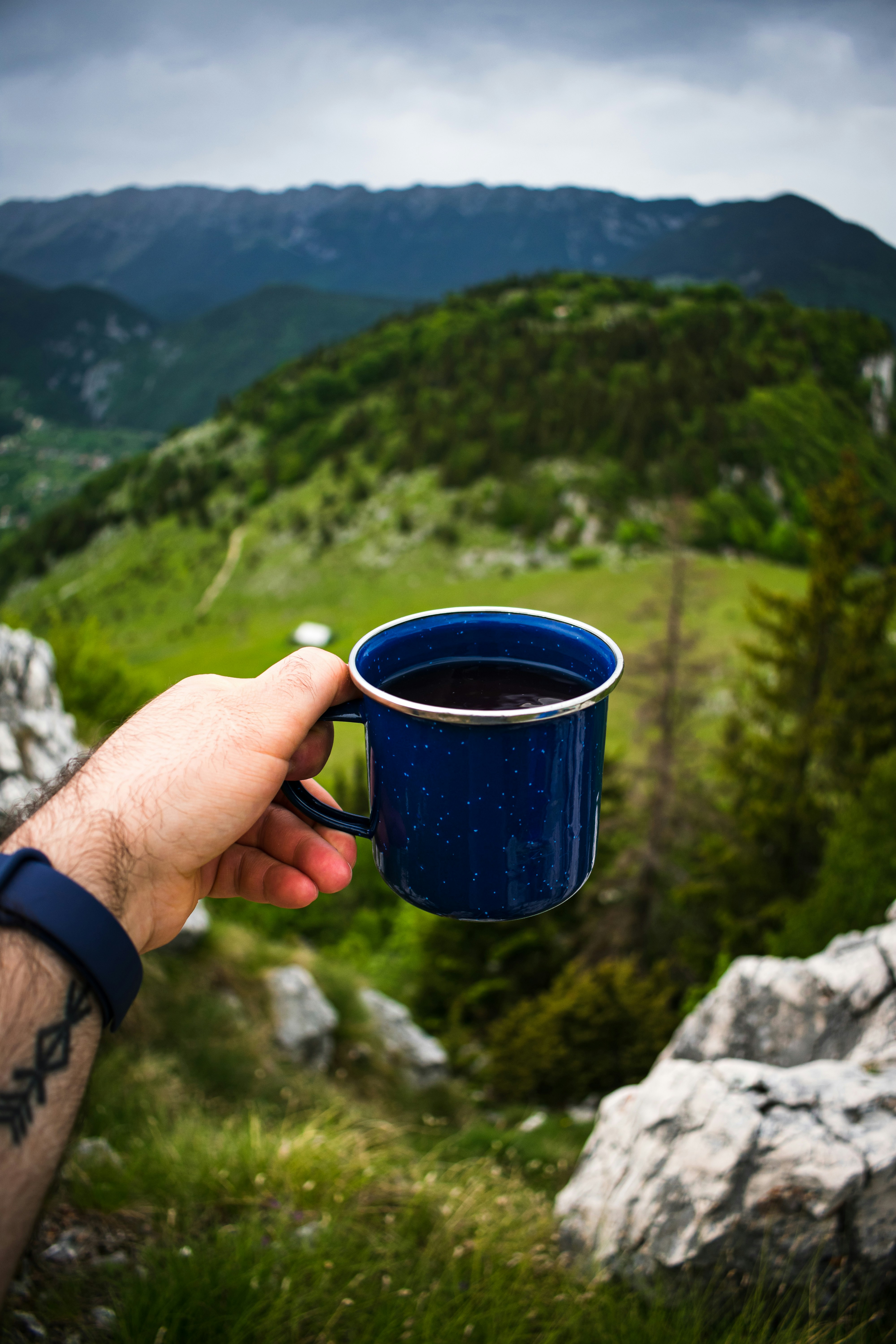 Summit Toast: A Blue Enamel Mug Framed by Alpine Vistas