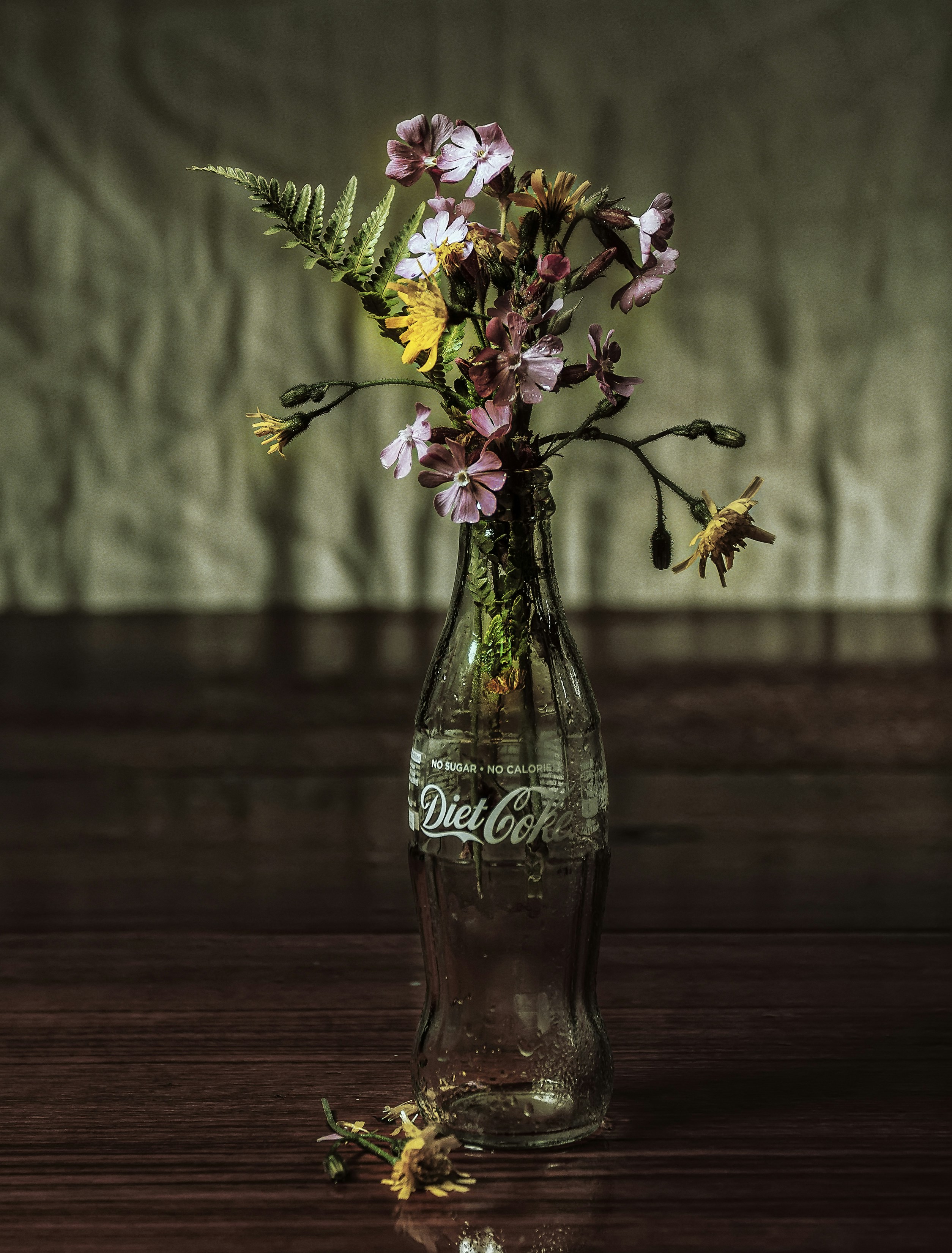 Still-life photograph featuring a glass Diet Coke bottle repurposed as a vase, holding a mixed bouquet of pink, yellow, and purple wildflowers against a muted backdrop.