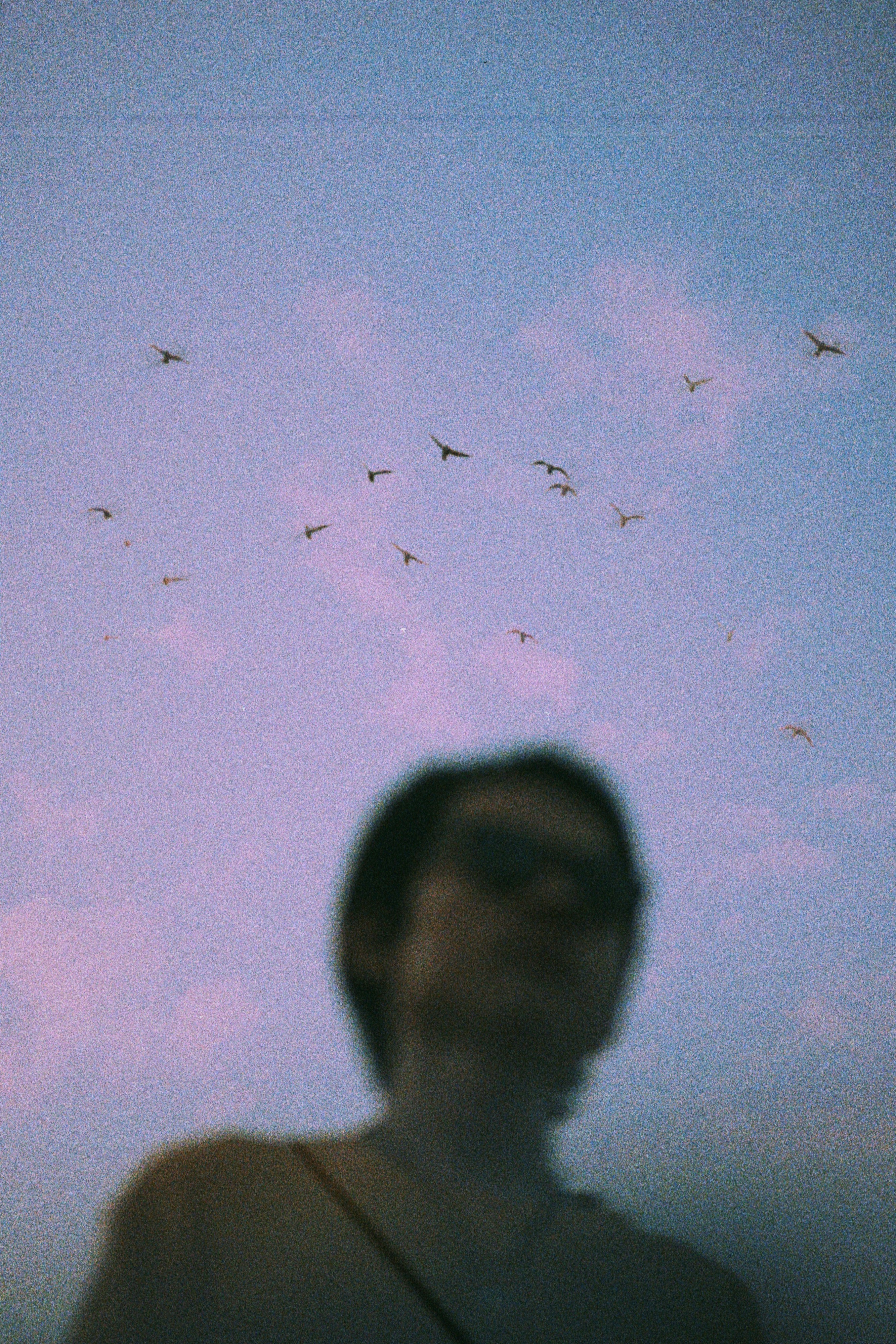 Blury Pictures | Download Free Images on Unsplash