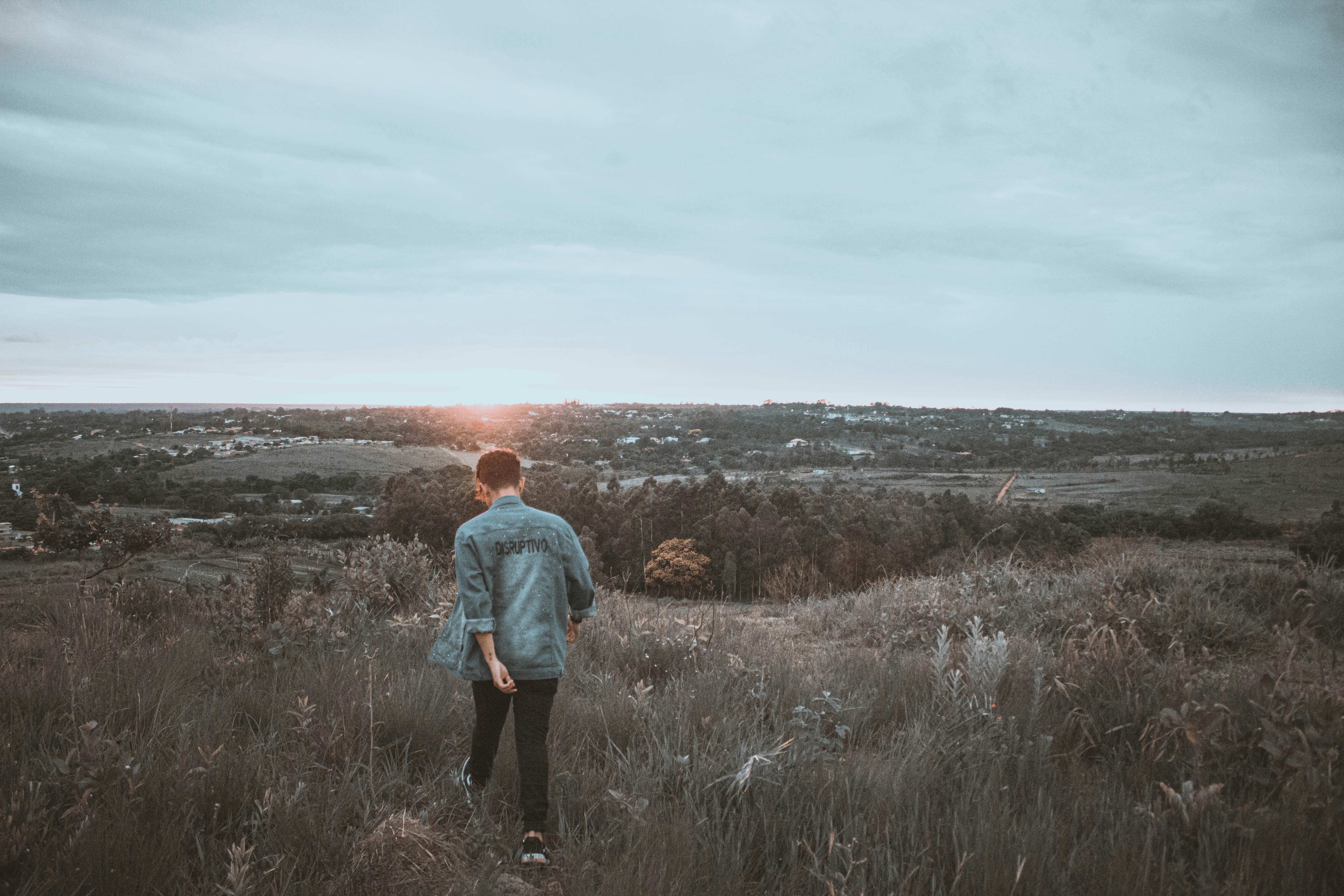 Man Field Pictures | Download Free Images on Unsplash