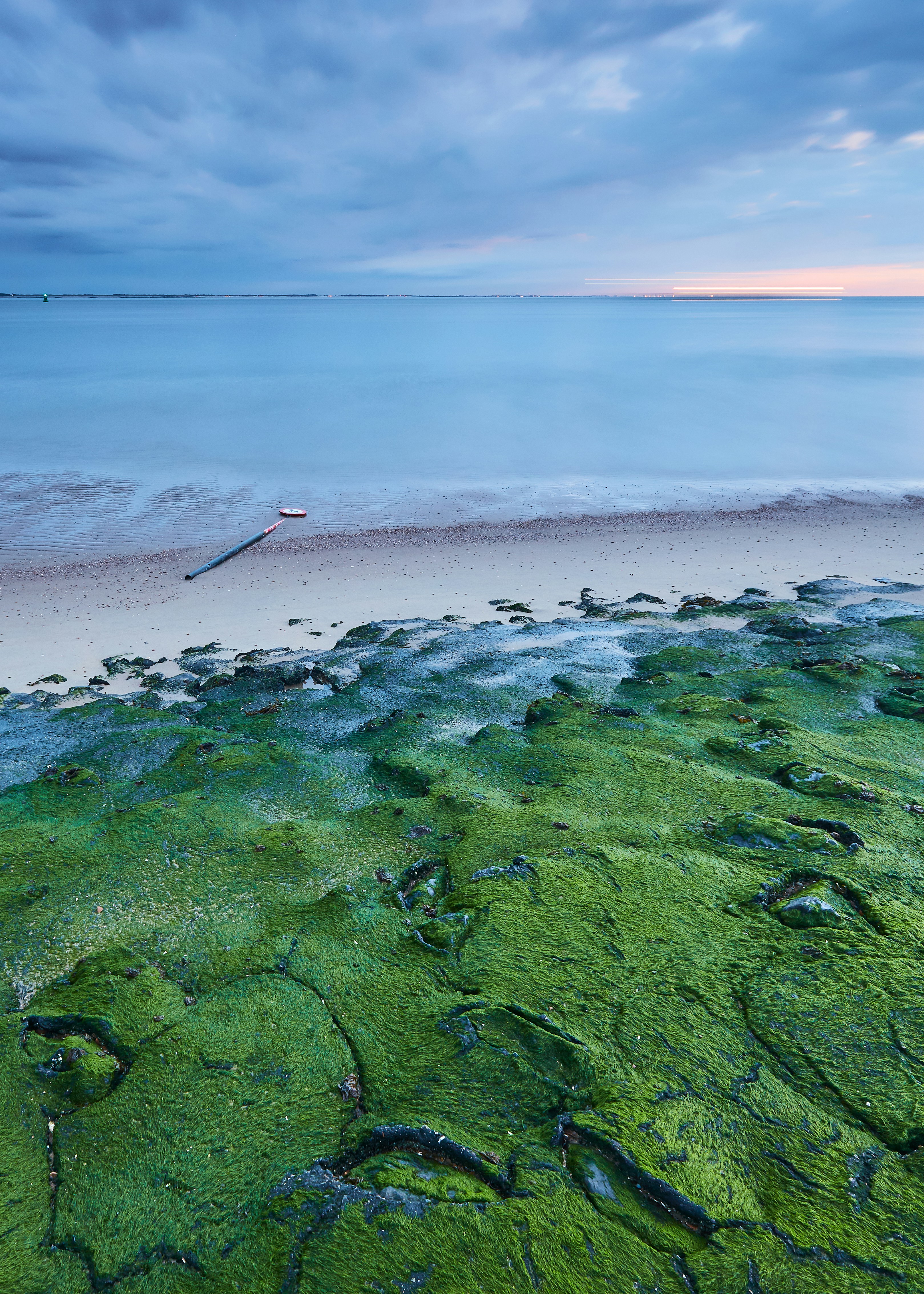Emerald Shoreline: Moss-Covered Rocks Meet a Subtle Pink Horizon