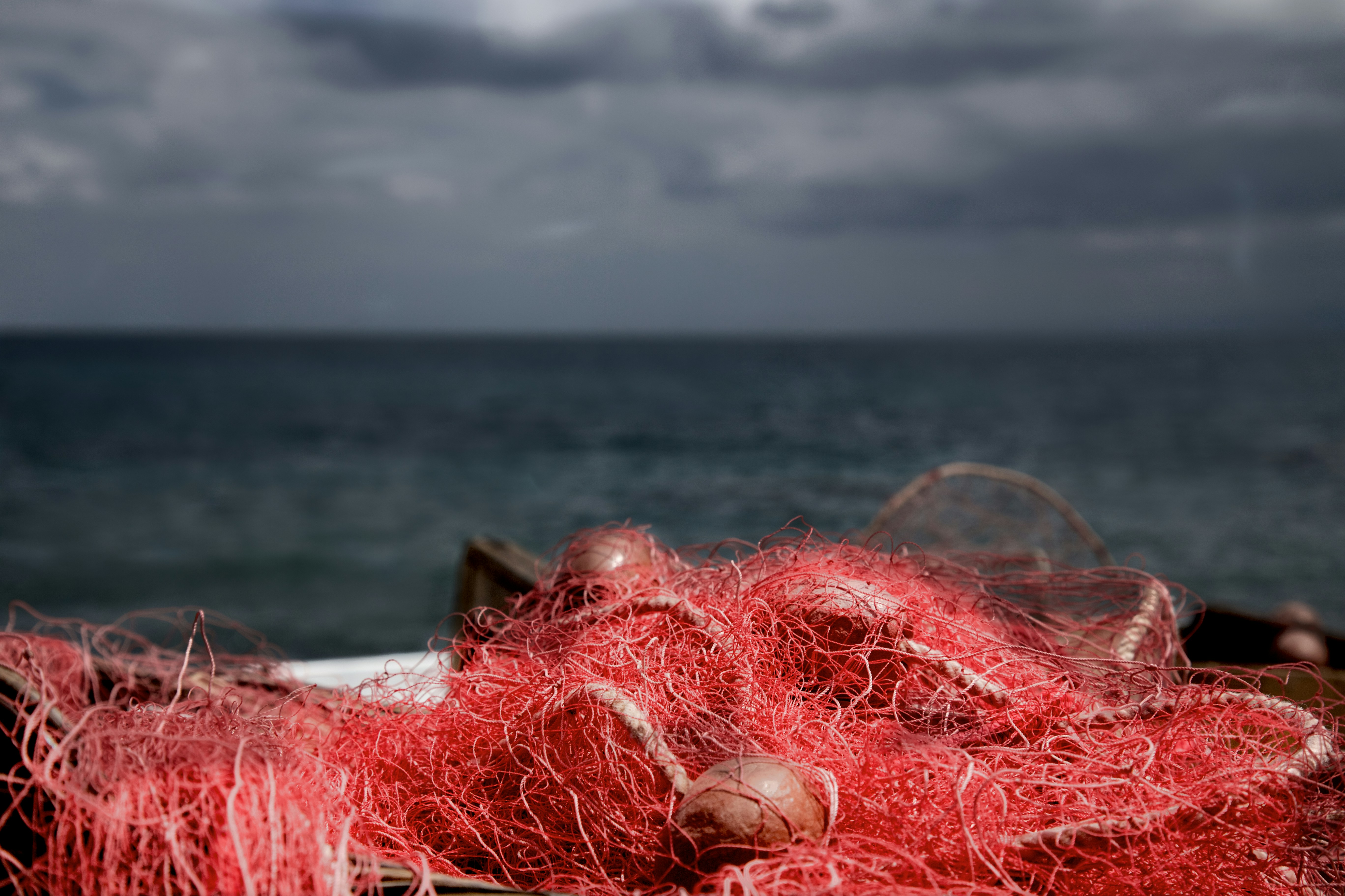 Crimson Netting by the Sea: A Quiet Shoreline Portrait