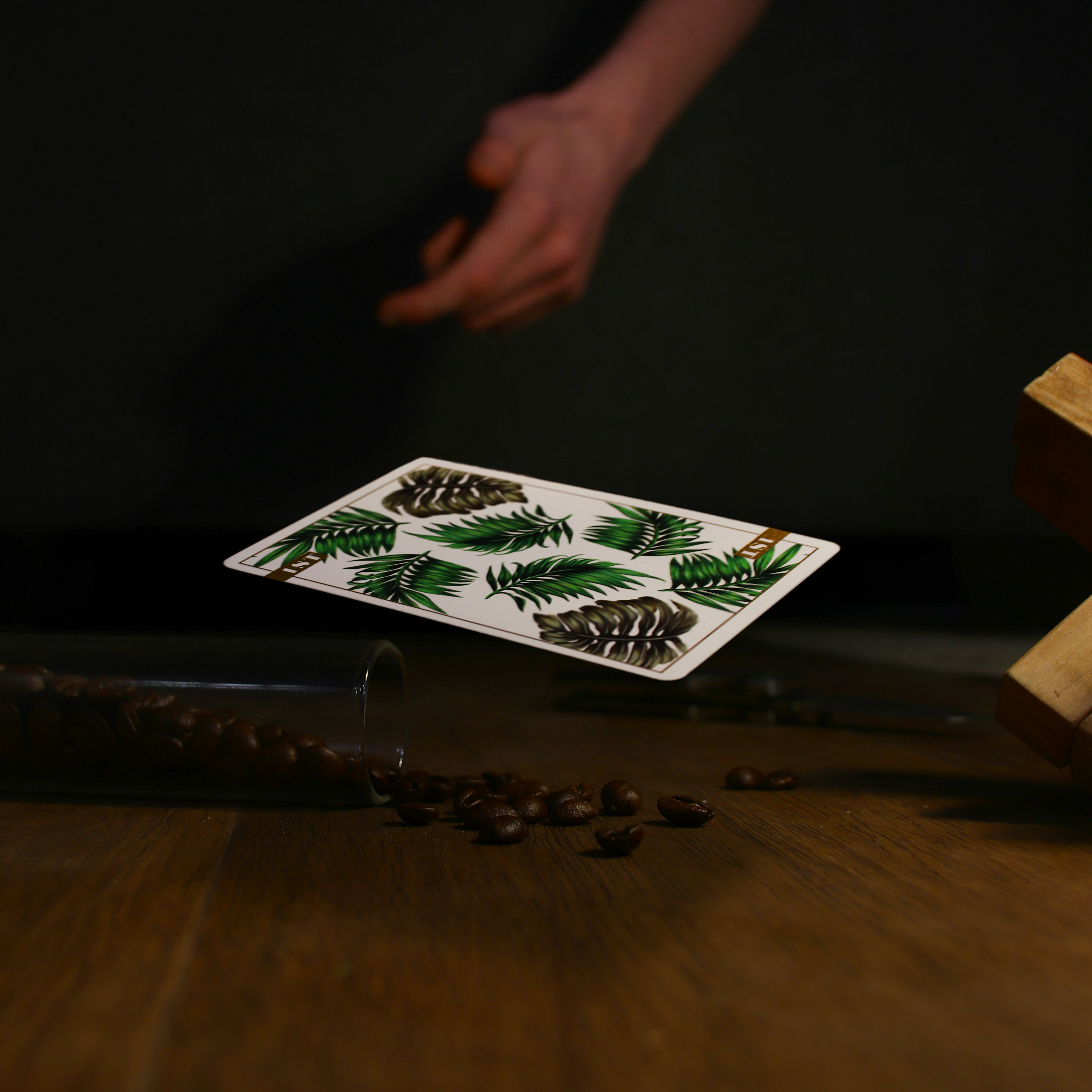 Floating Palm Card: A Leafy Moment Above the Tabletop