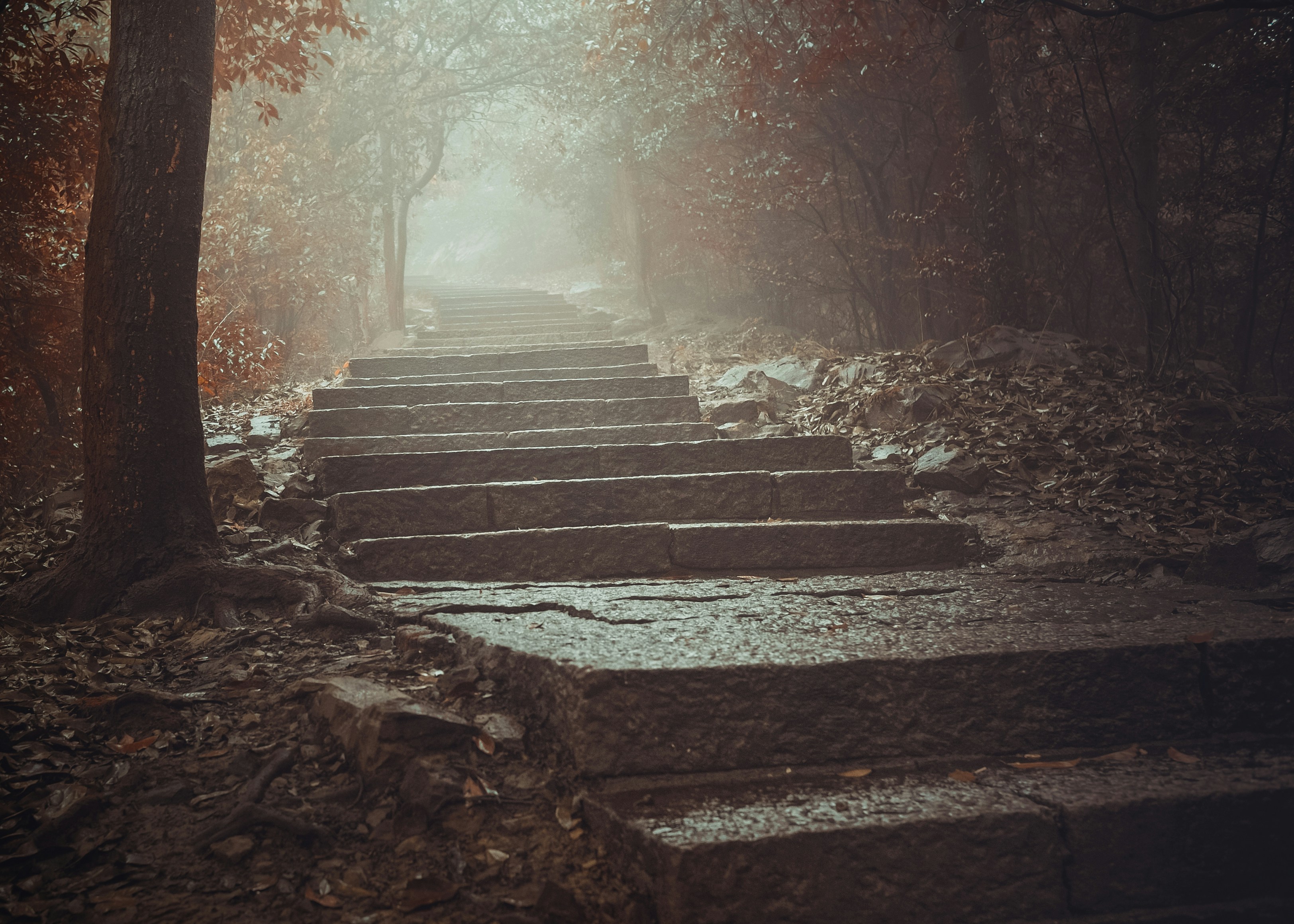 Misty stone steps lead through a serene forest, framed by autumn foliage. The atmosphere evokes a sense of mystery and tranquility.